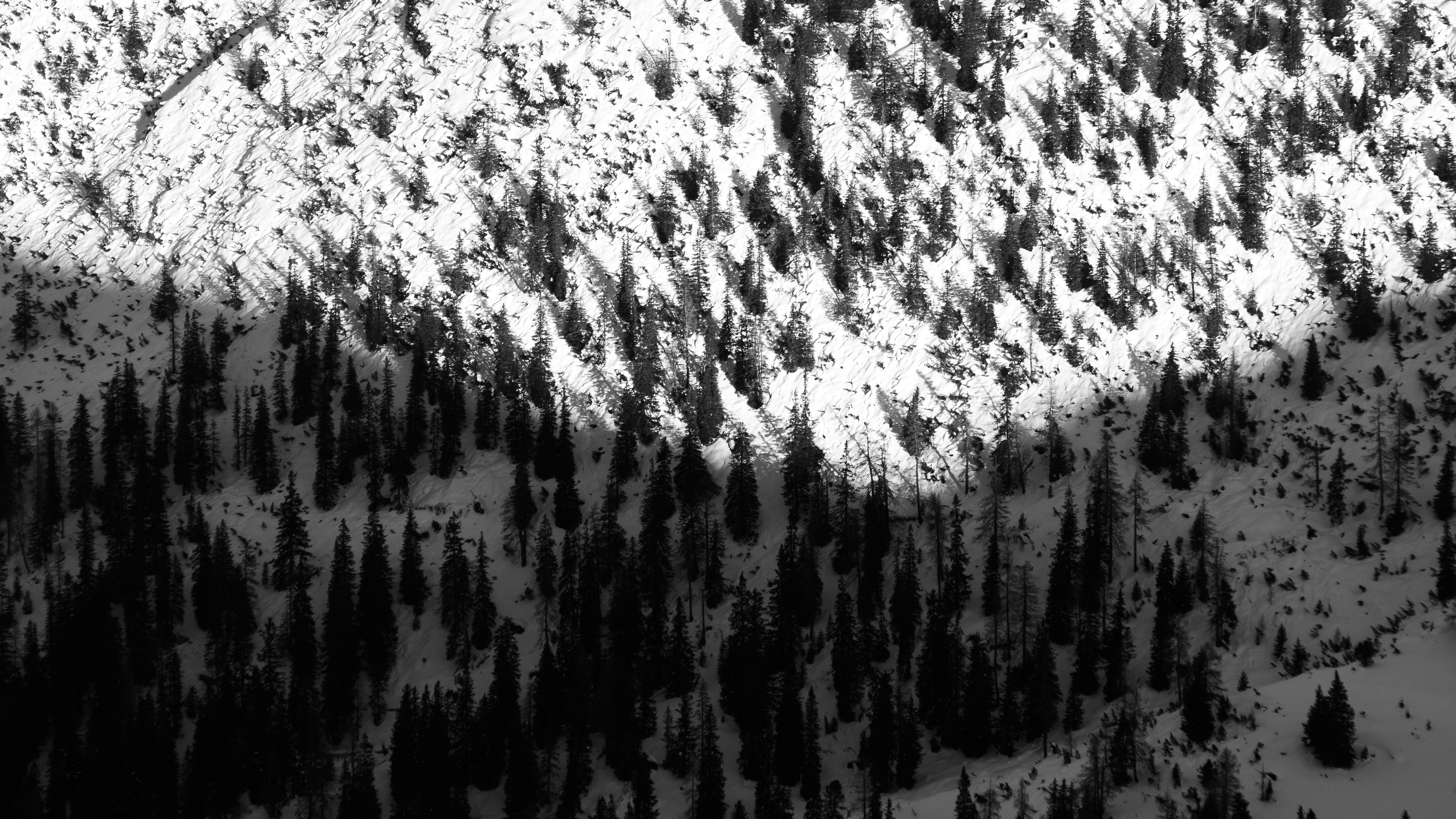 Snowy Shadowline: A Winter Slope Carved by Light and Dark