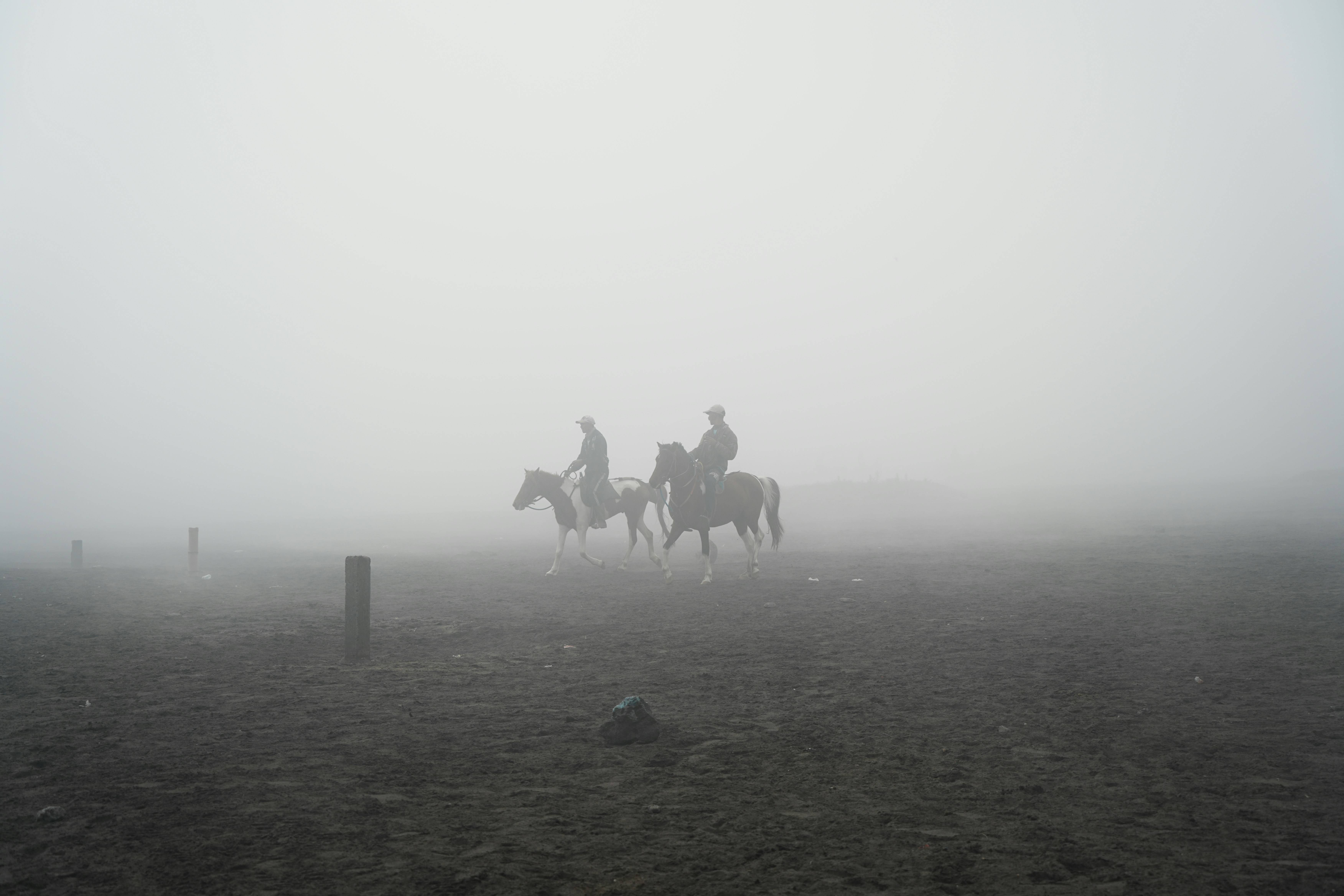 Mist Riders: silhouettes on a foggy horizon
