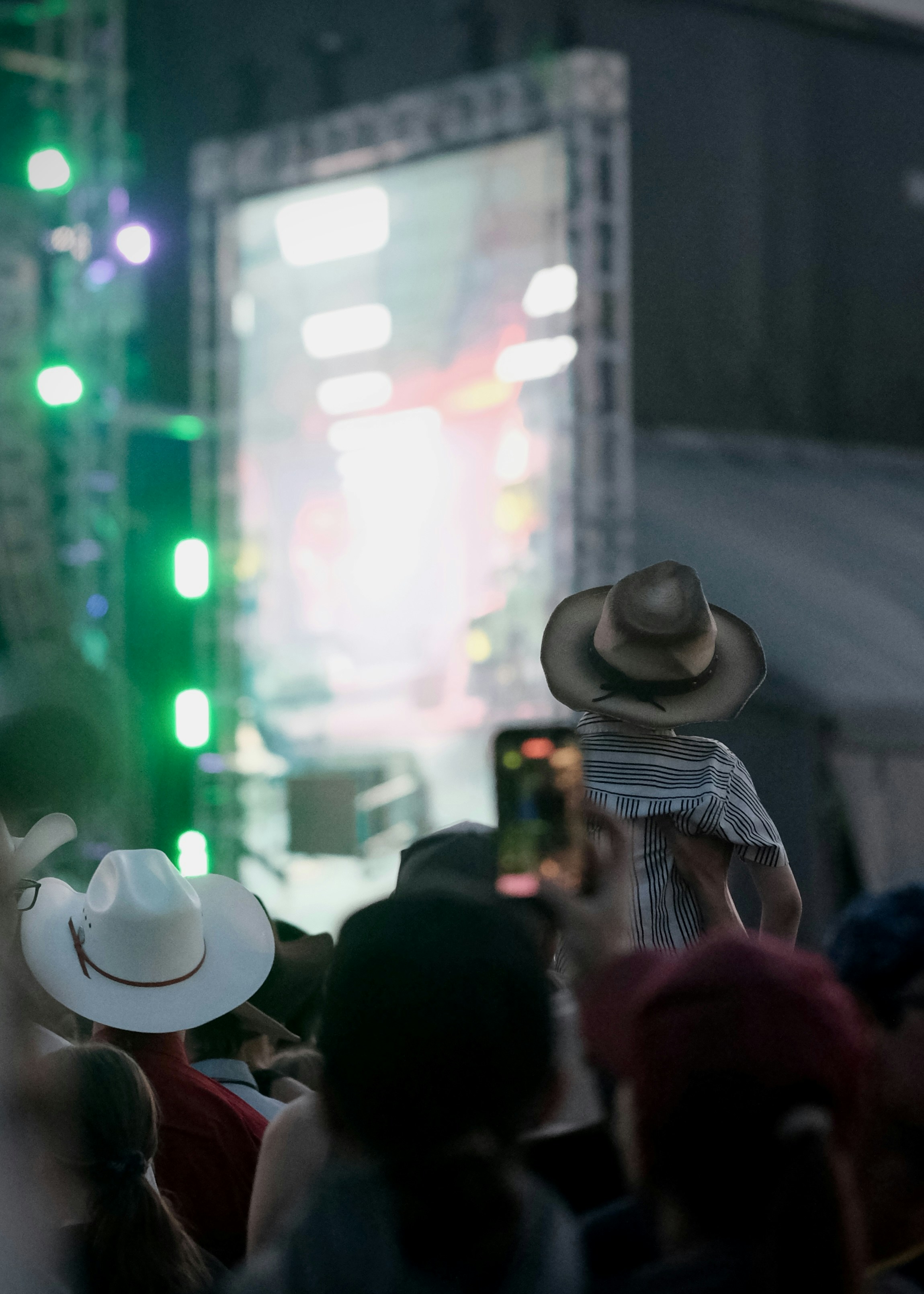 Midnight Crowd: A Hat-Topped Gaze Toward the Stage