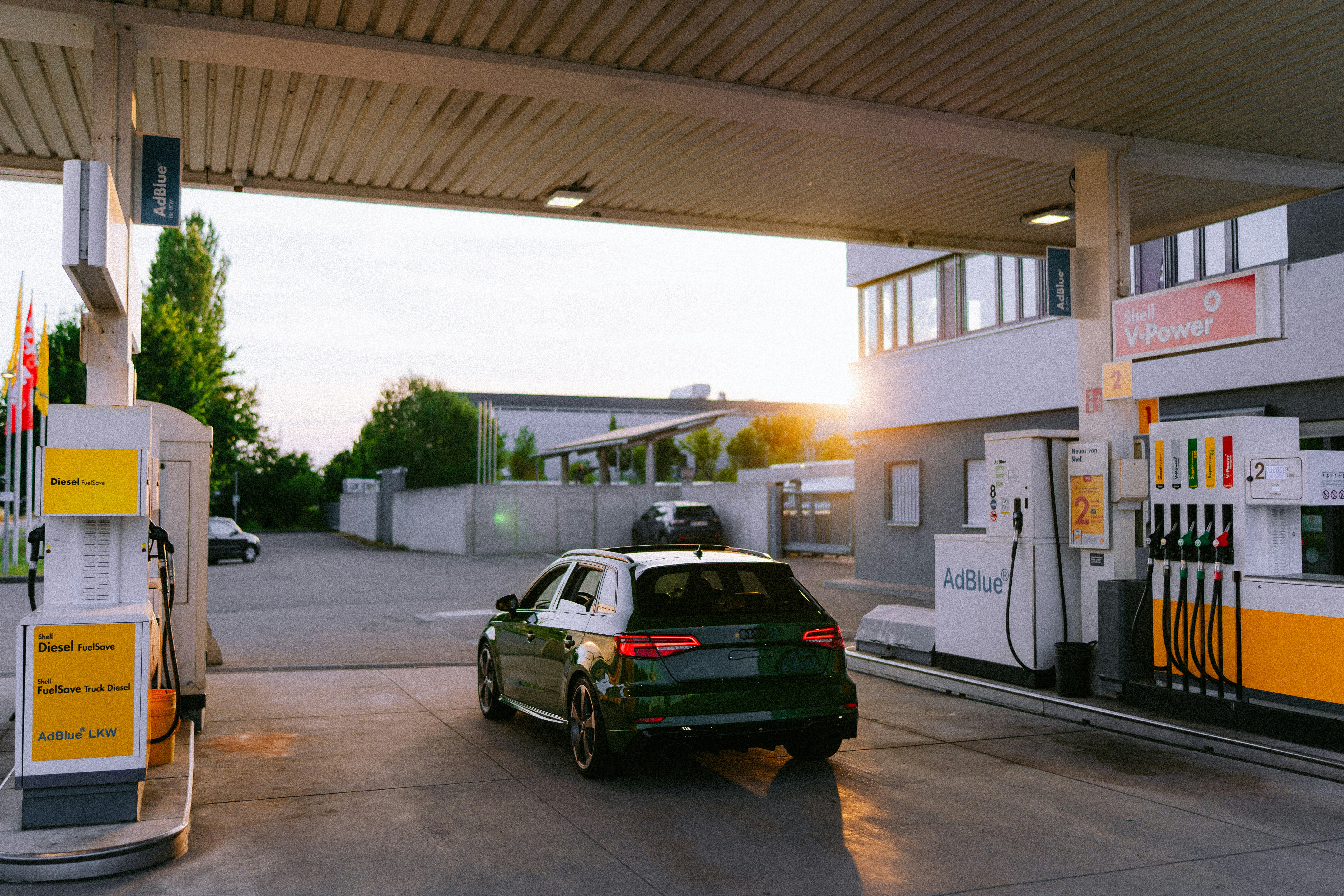 Green Hatch at Dusk: A Quiet Refueling Moment Beneath the Canopy