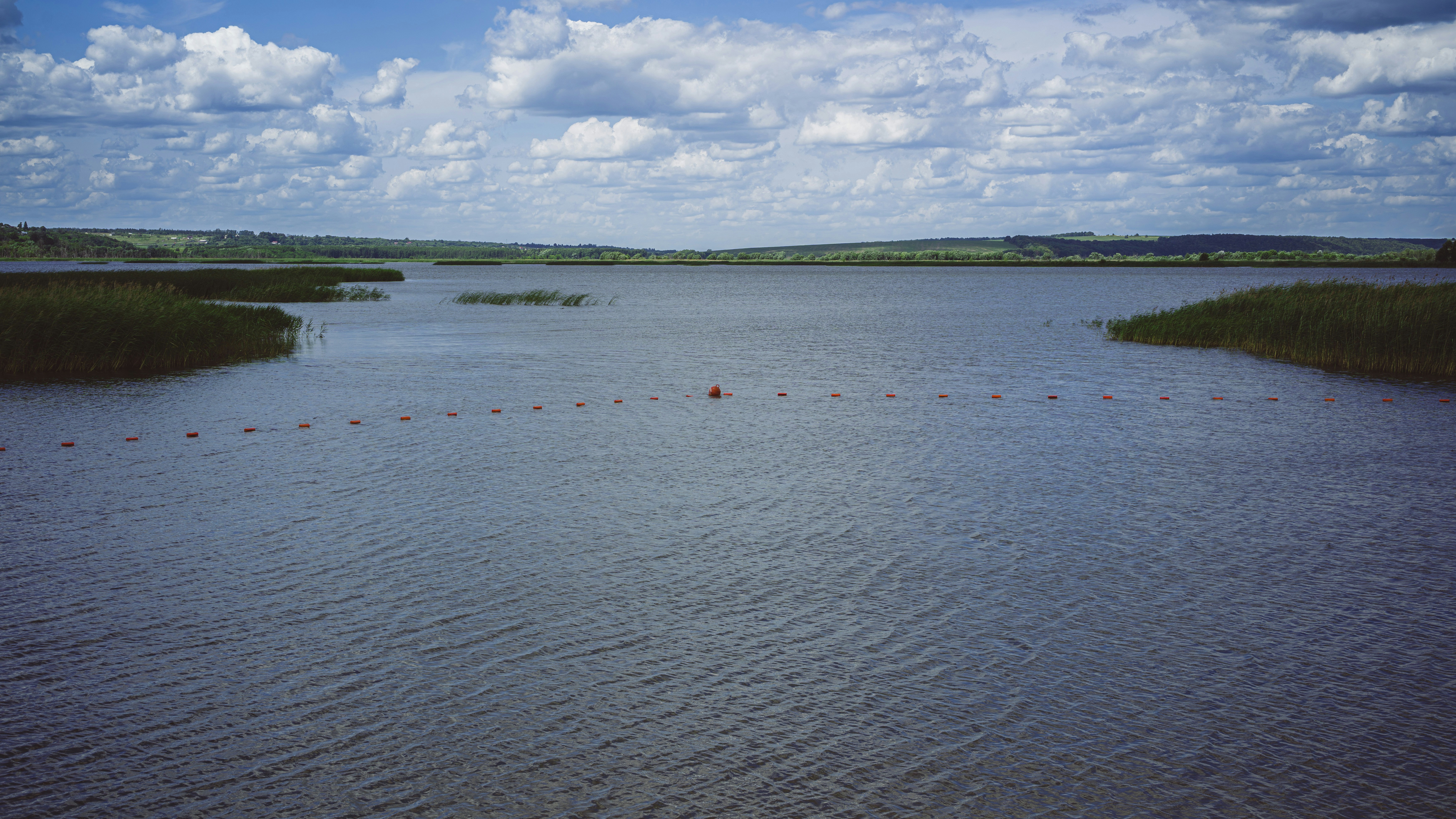 Low-Tide Confluence: Reeds Framing a Quiet Wetland Horizon