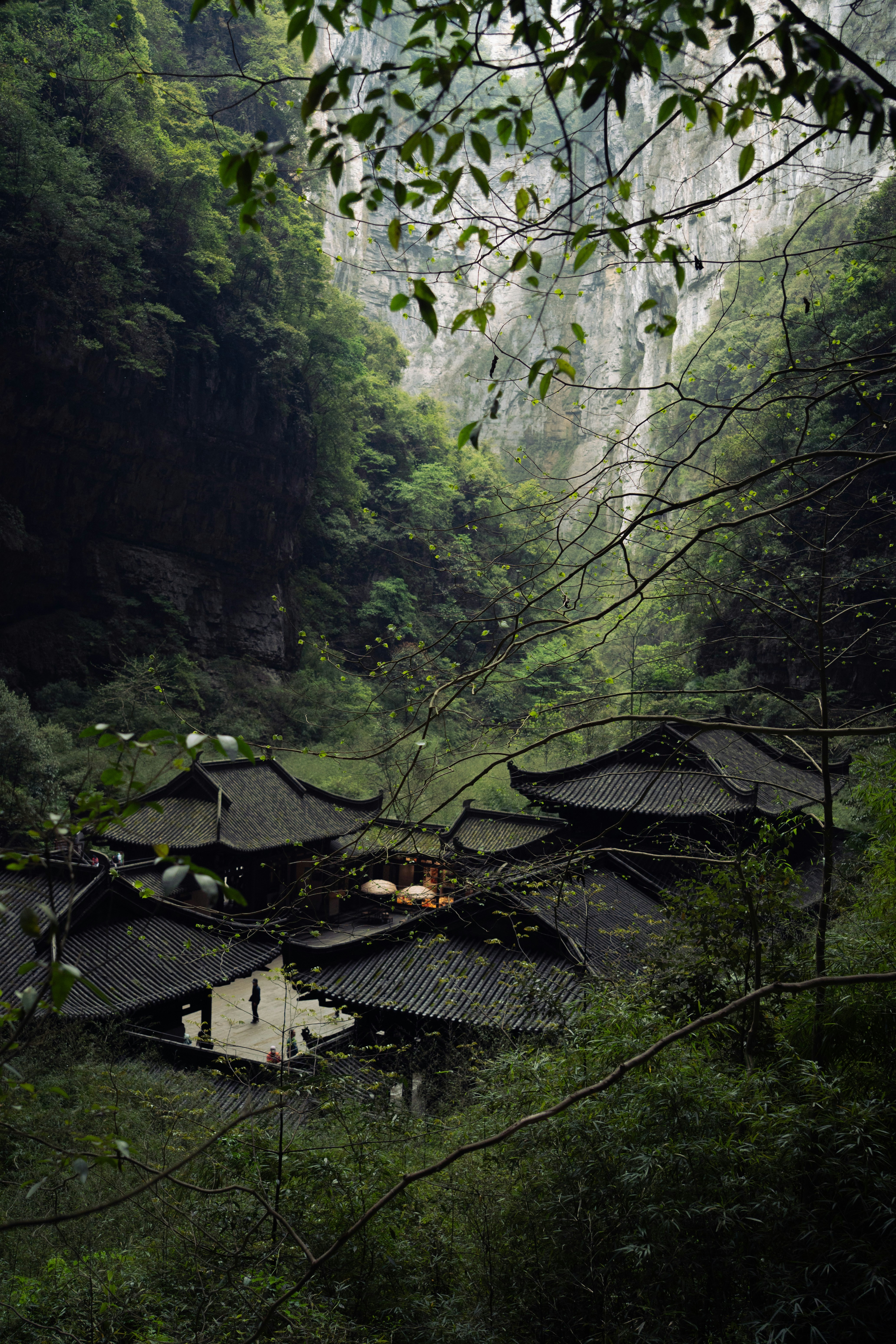 Mist-clad Temple Village Nestled at the Foot of a Verdant Ravine