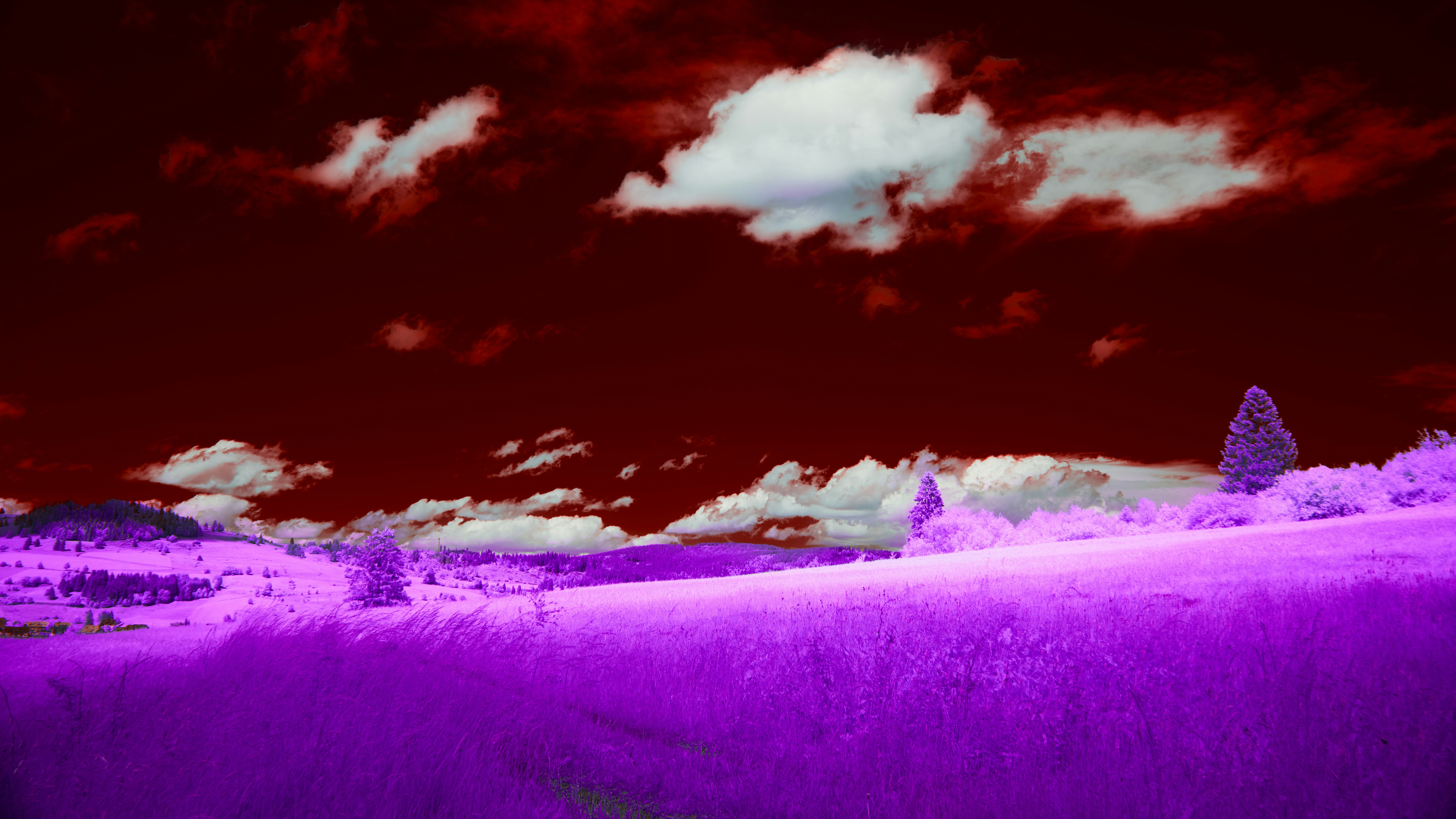 Ultraviolets and Crimson Skies Over a Quiet Field