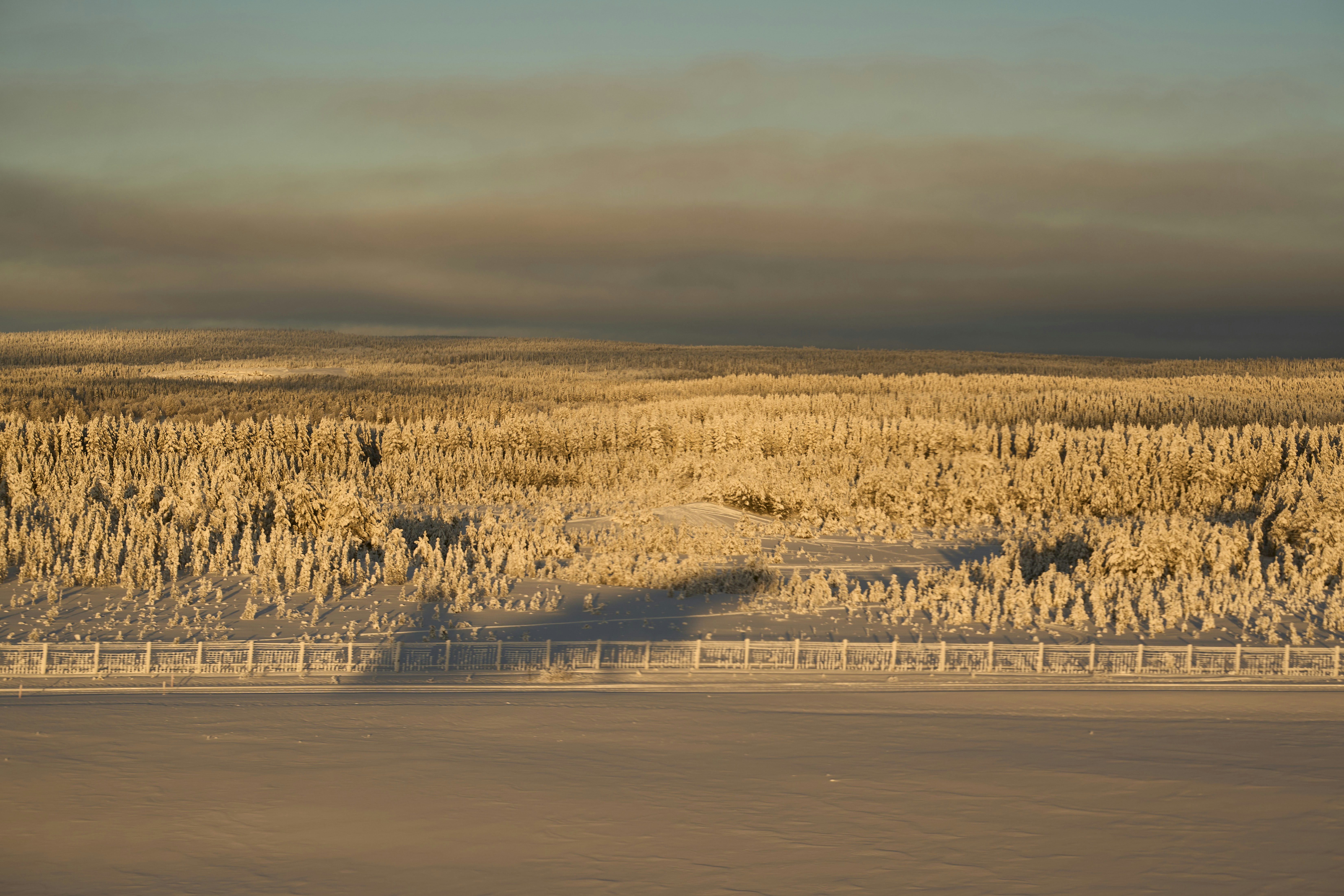 Golden Prairie Ablaze: A Quiet Horizon Under Soft Evening Light