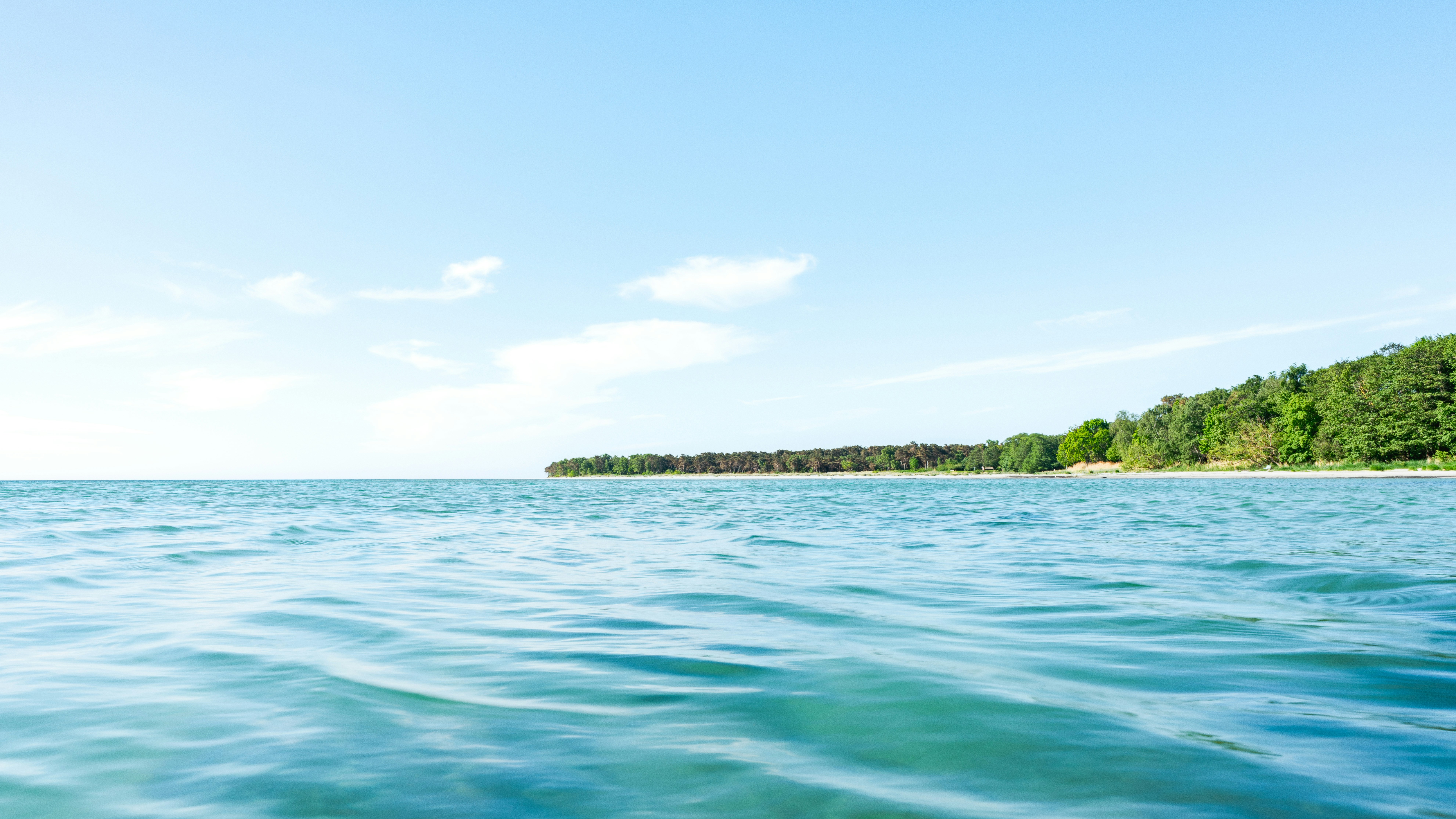 Horizon Whisper: A Quiet Blue Sea Meets Distant Pine Shore