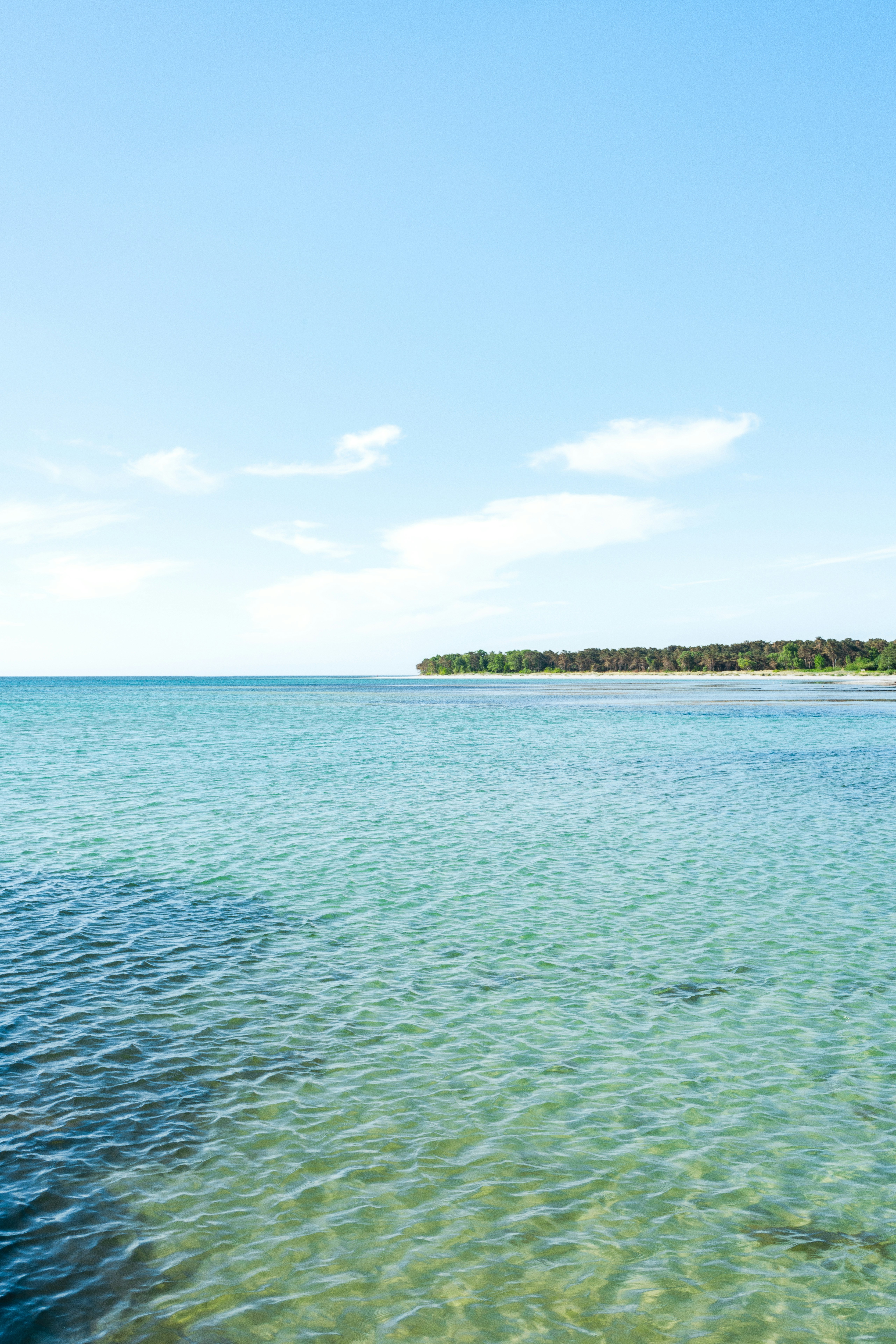 A Quiet Horizon: Teal Waters Meet Distant Trees Under Open Sky