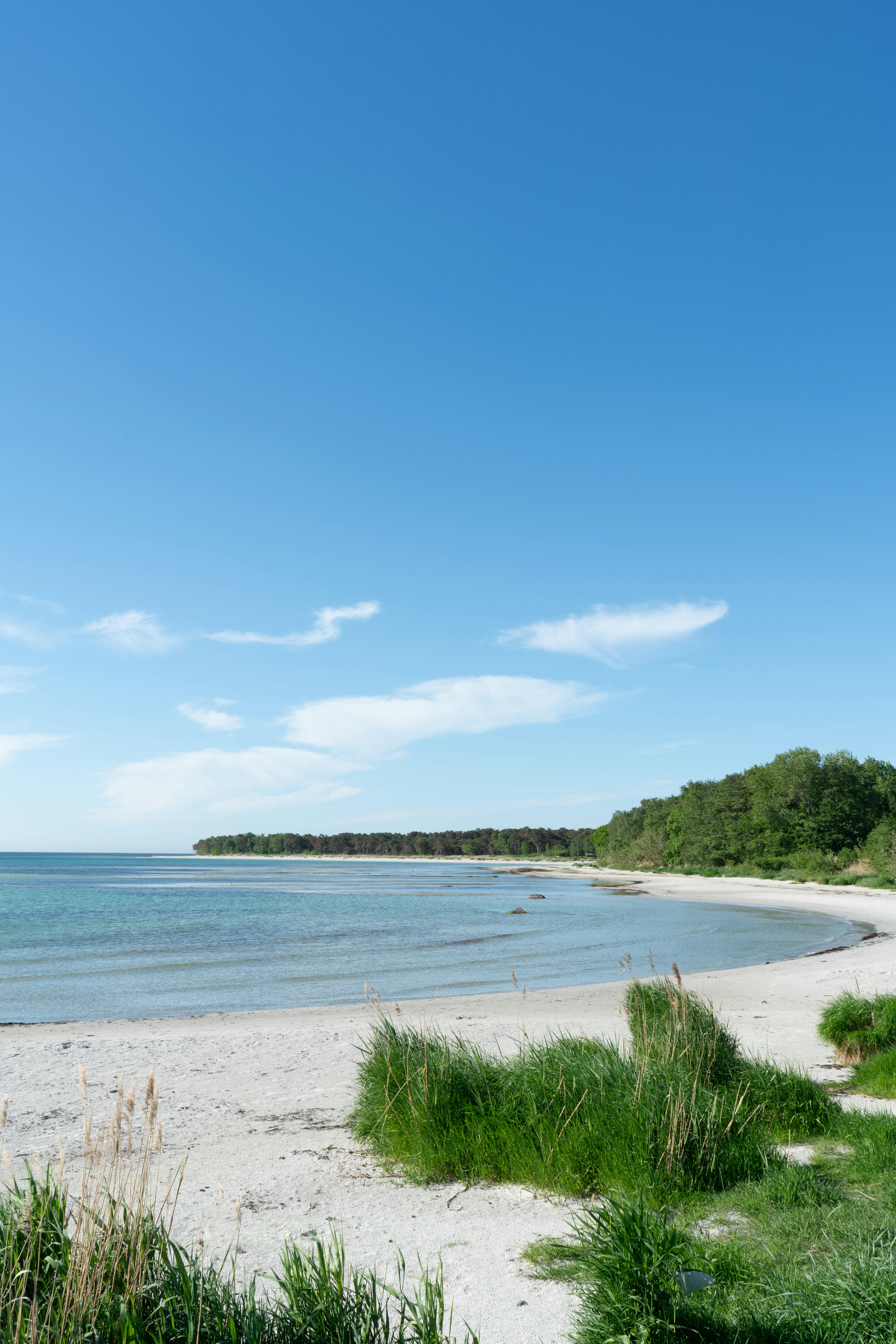 Sunlit Seashore: A Quiet Arc of Beach and Dune Grass Under Open Sky