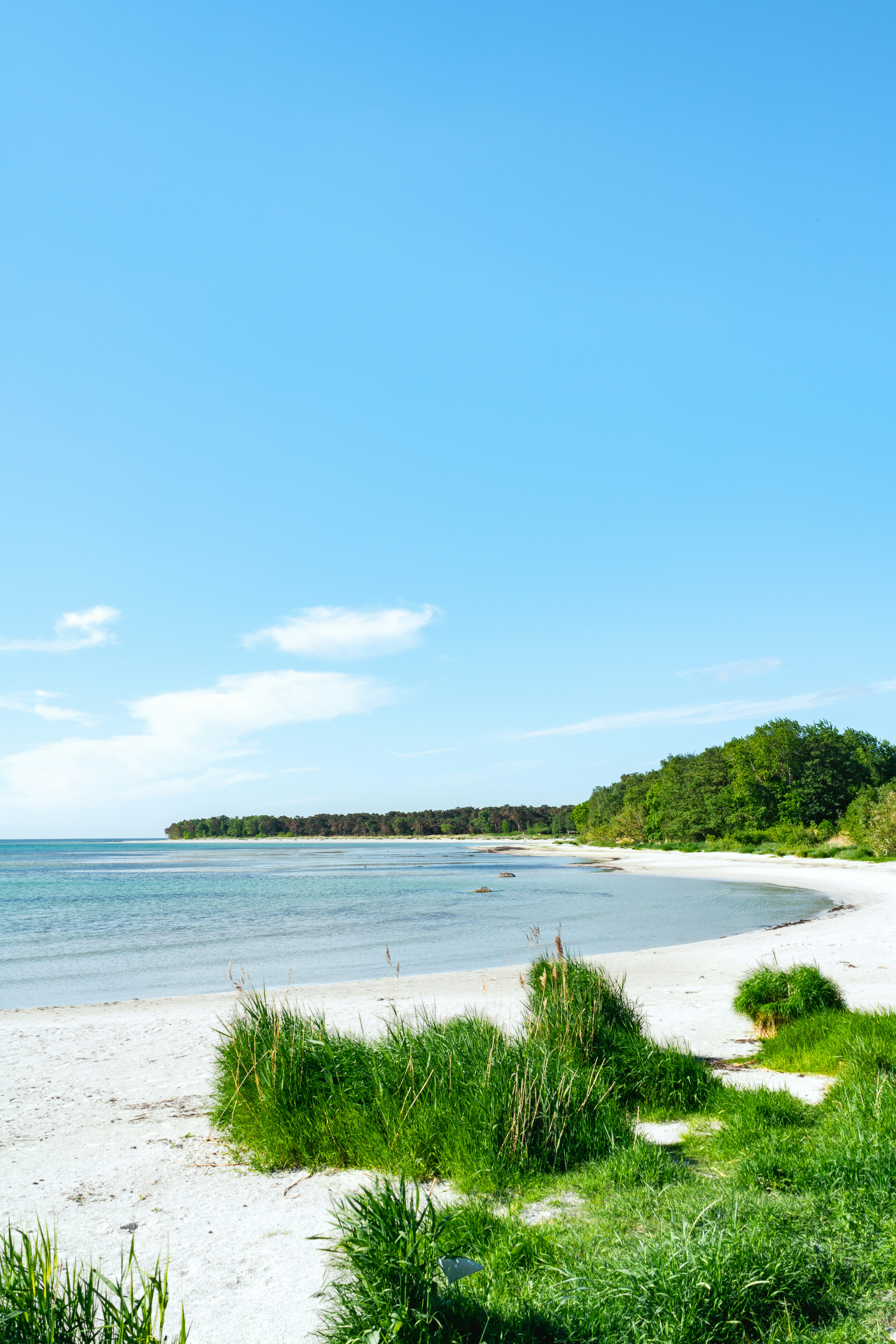Sunlit shoreline with green dunes under a crisp blue sky
