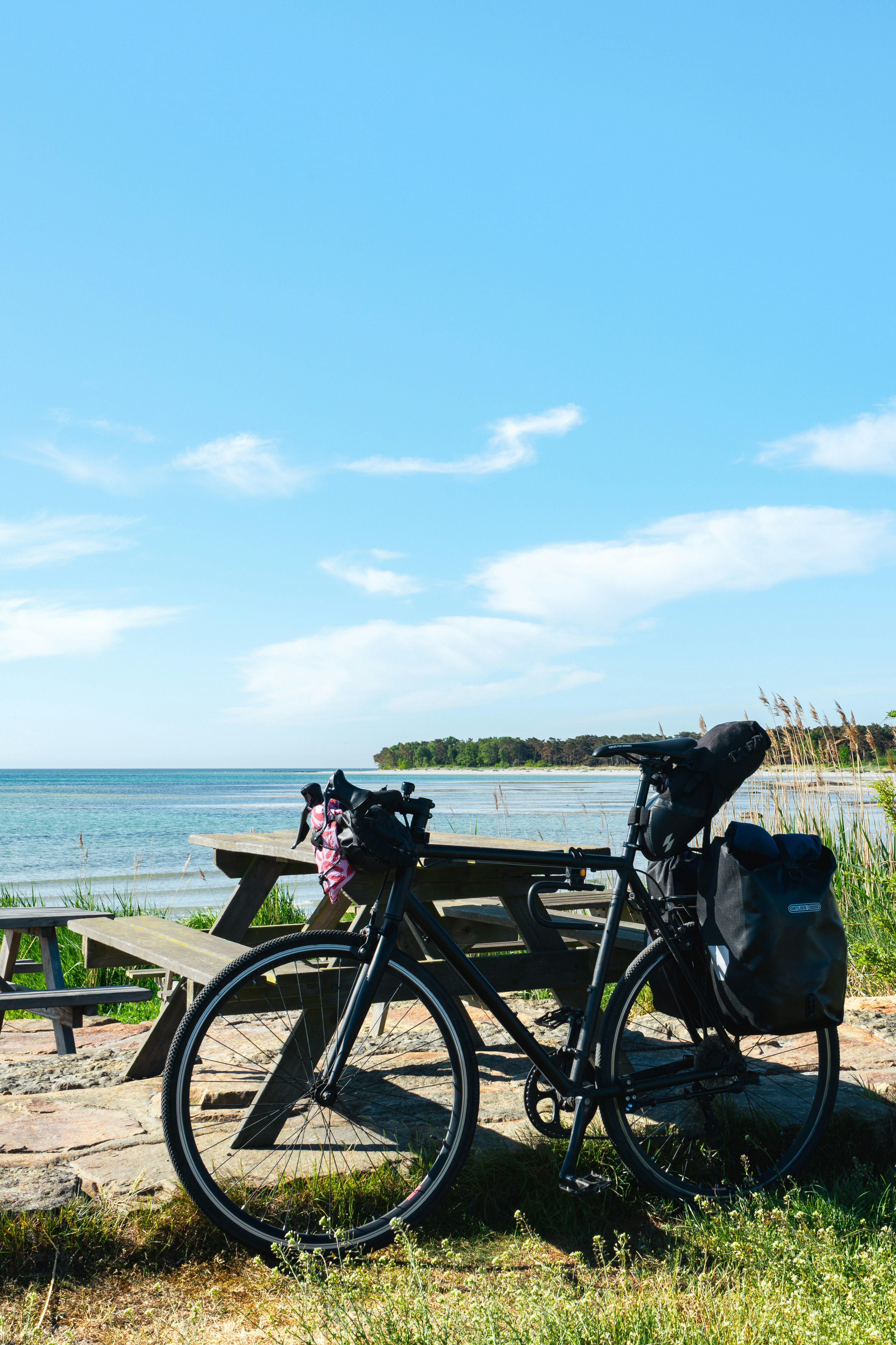 Bike by the Beach: A Quiet Stopover on a Sunny Shore