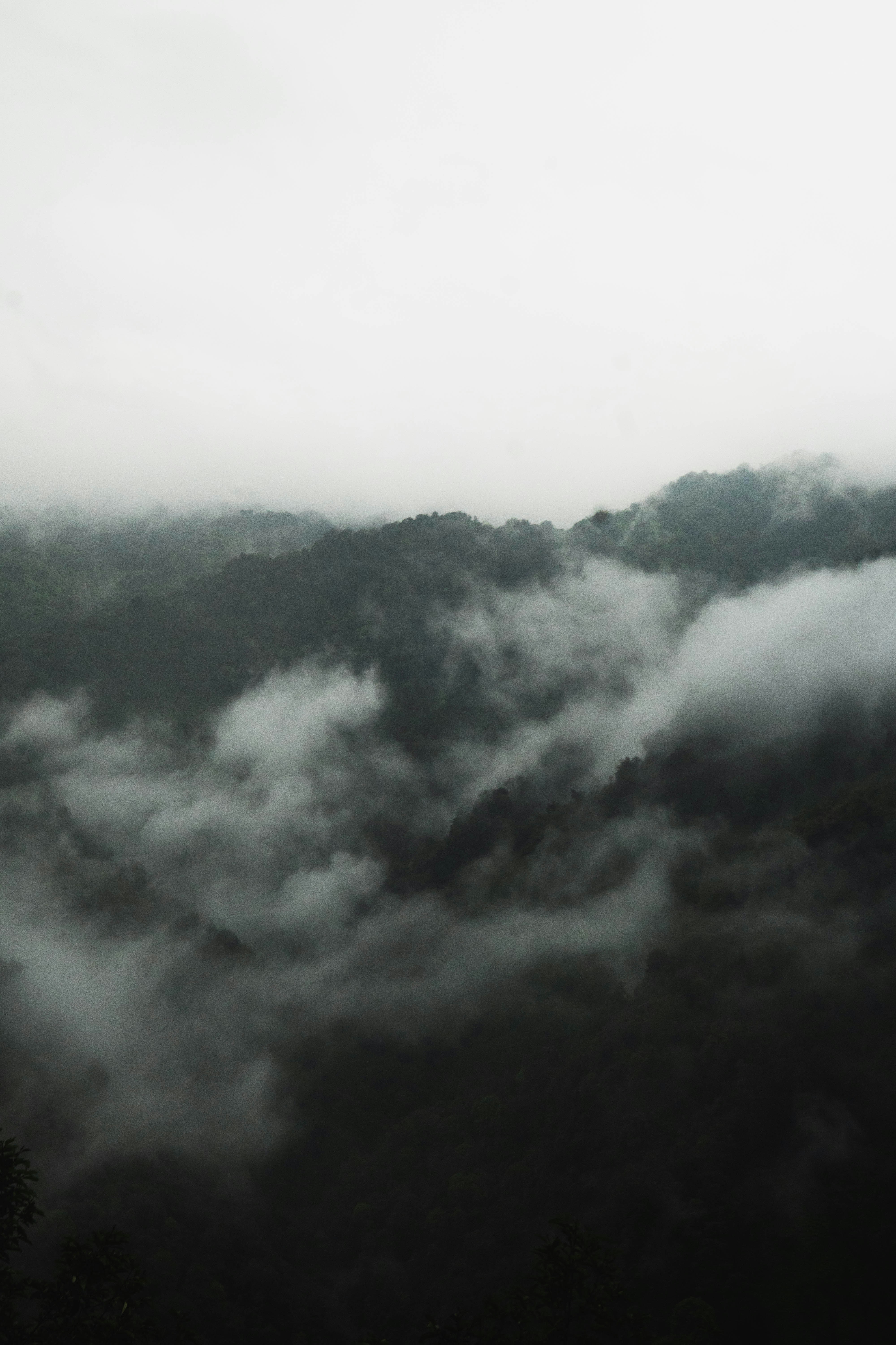 Mist-Clad Ridge: A Quiet Ascent Through Morning Clouds