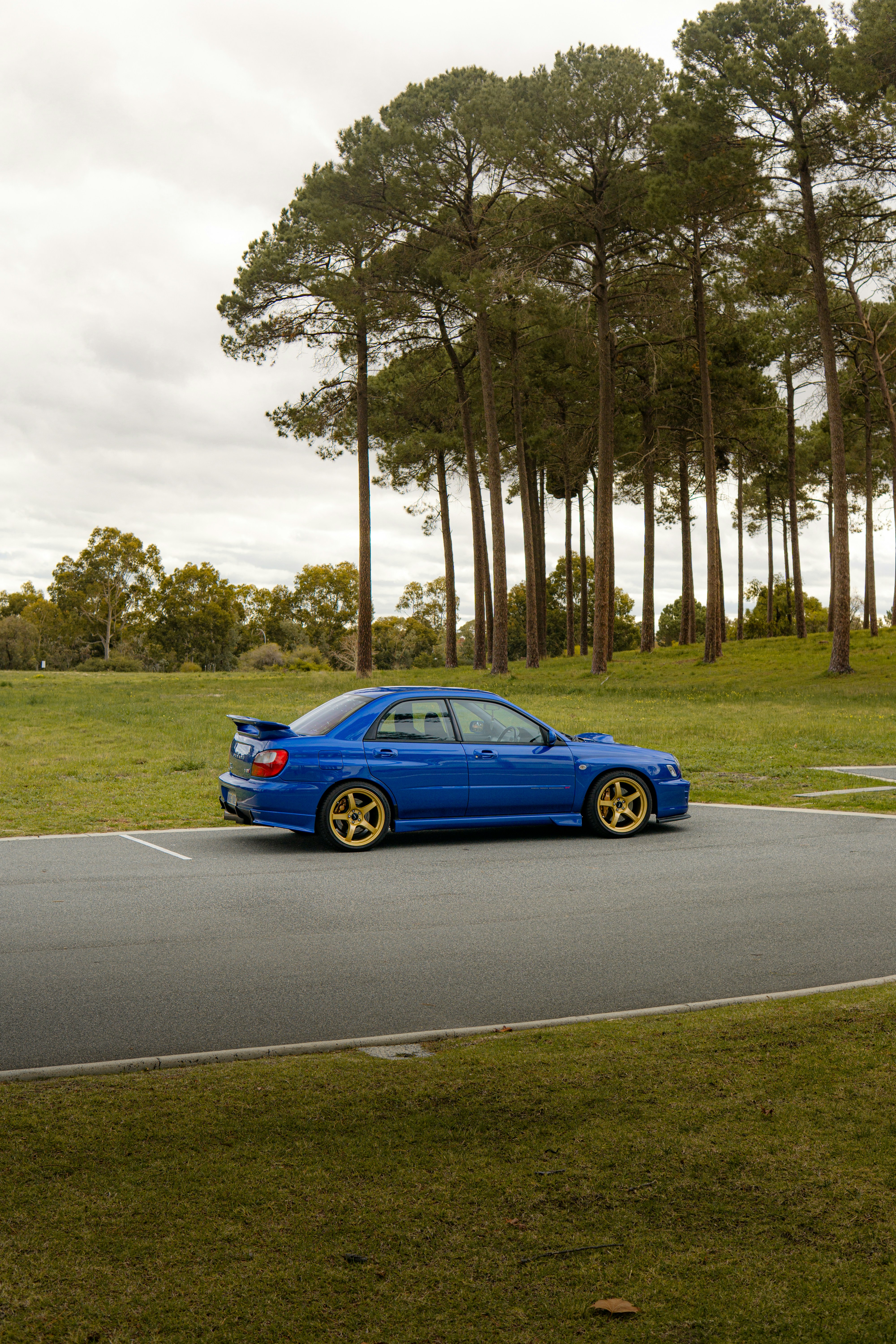 Blue Skyline: A Blue Midas in a Parked Moment