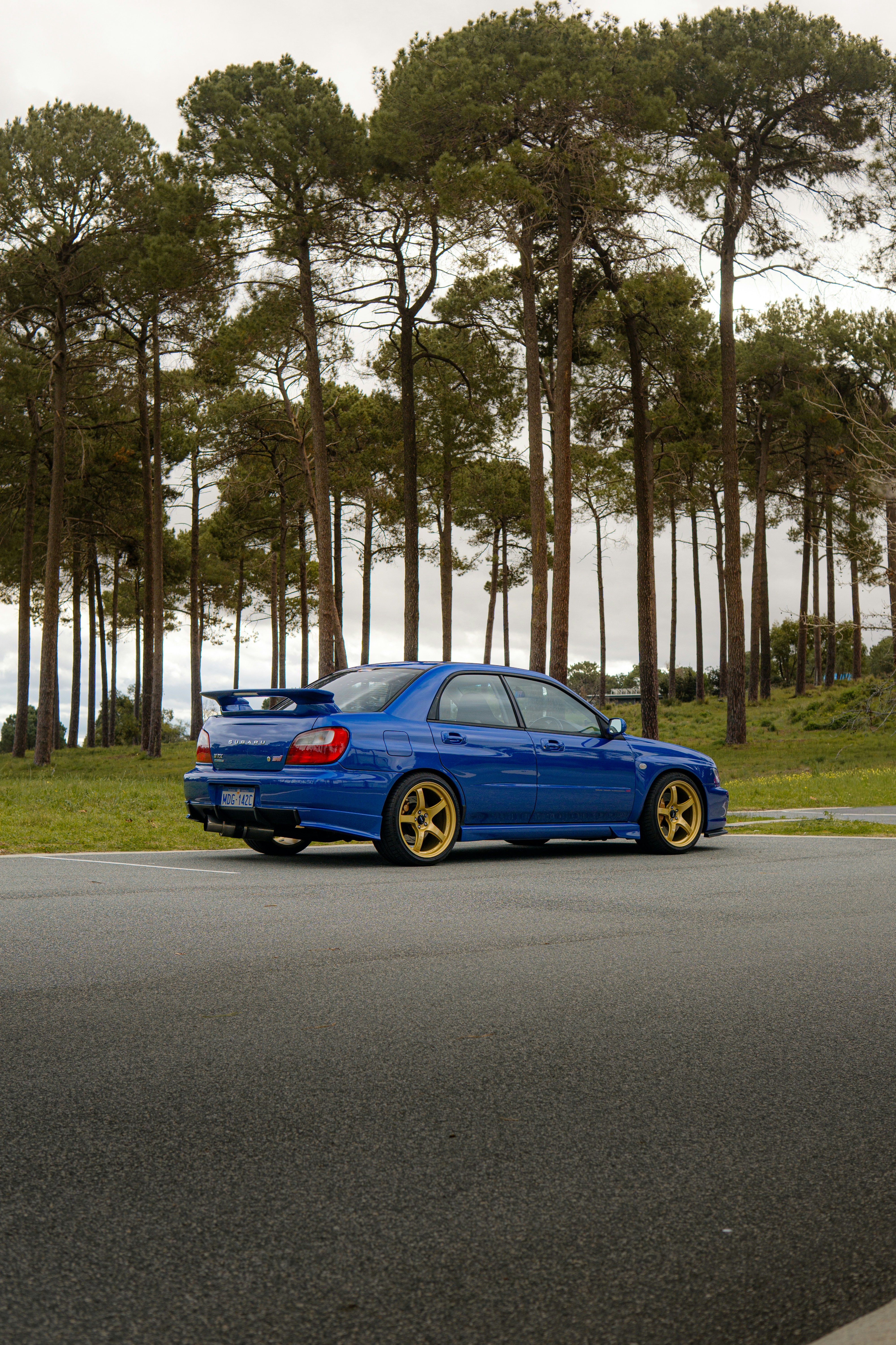Blue Subaru on Asphalt: A Car Among Tall Pines