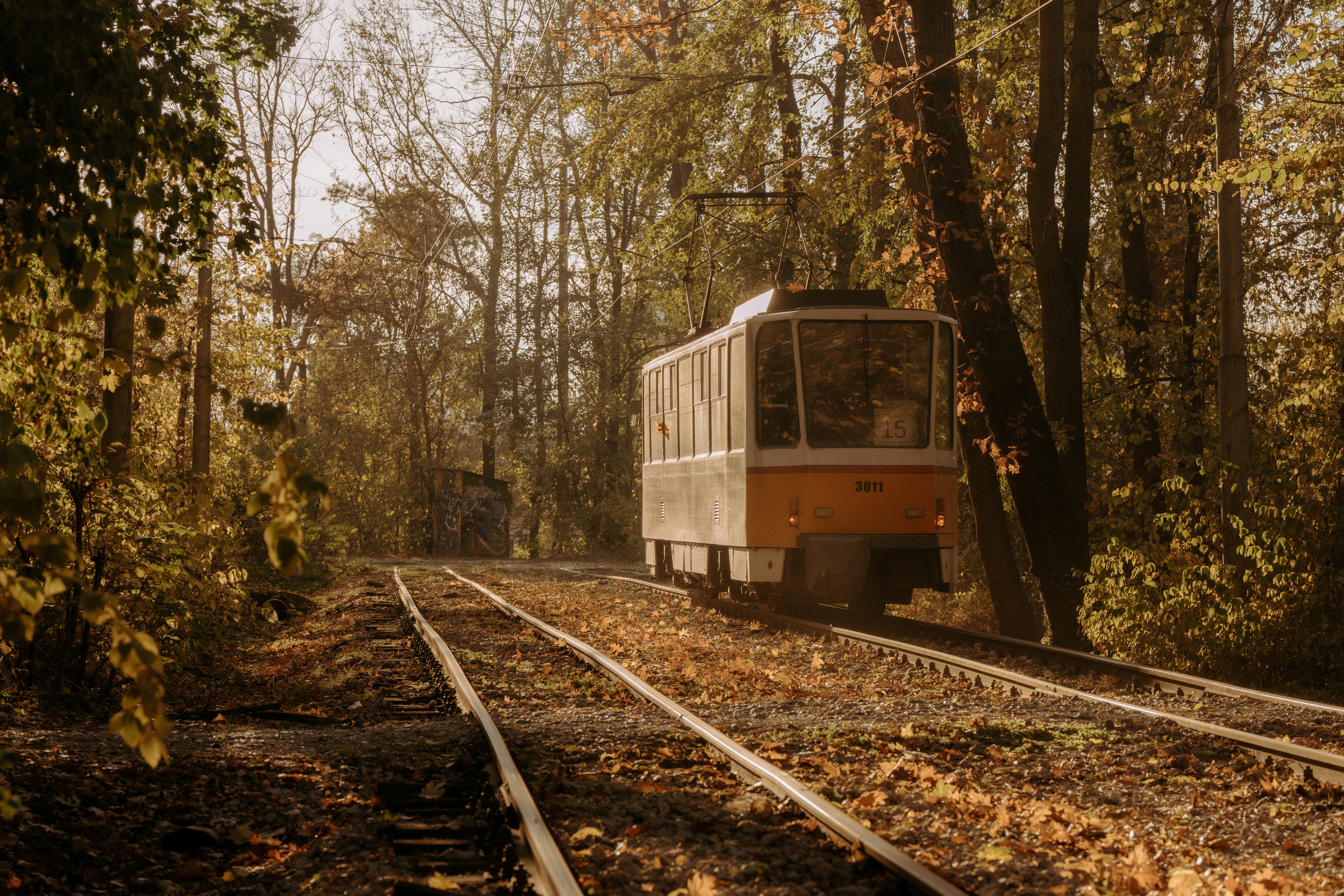 Autumn Tram on Quiet Rails