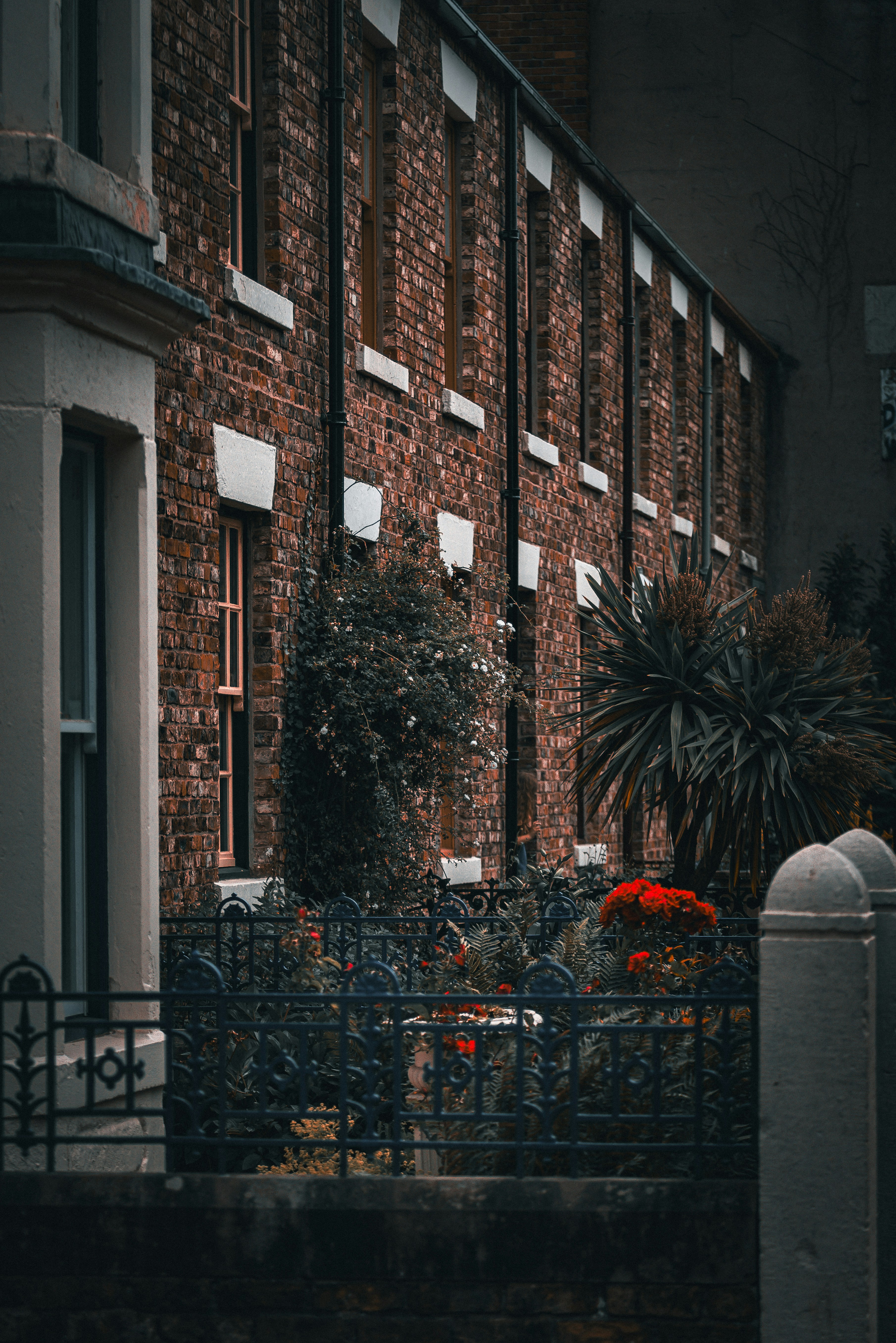Brick Facade Overgrown Garden: A Quiet Urban Corner
