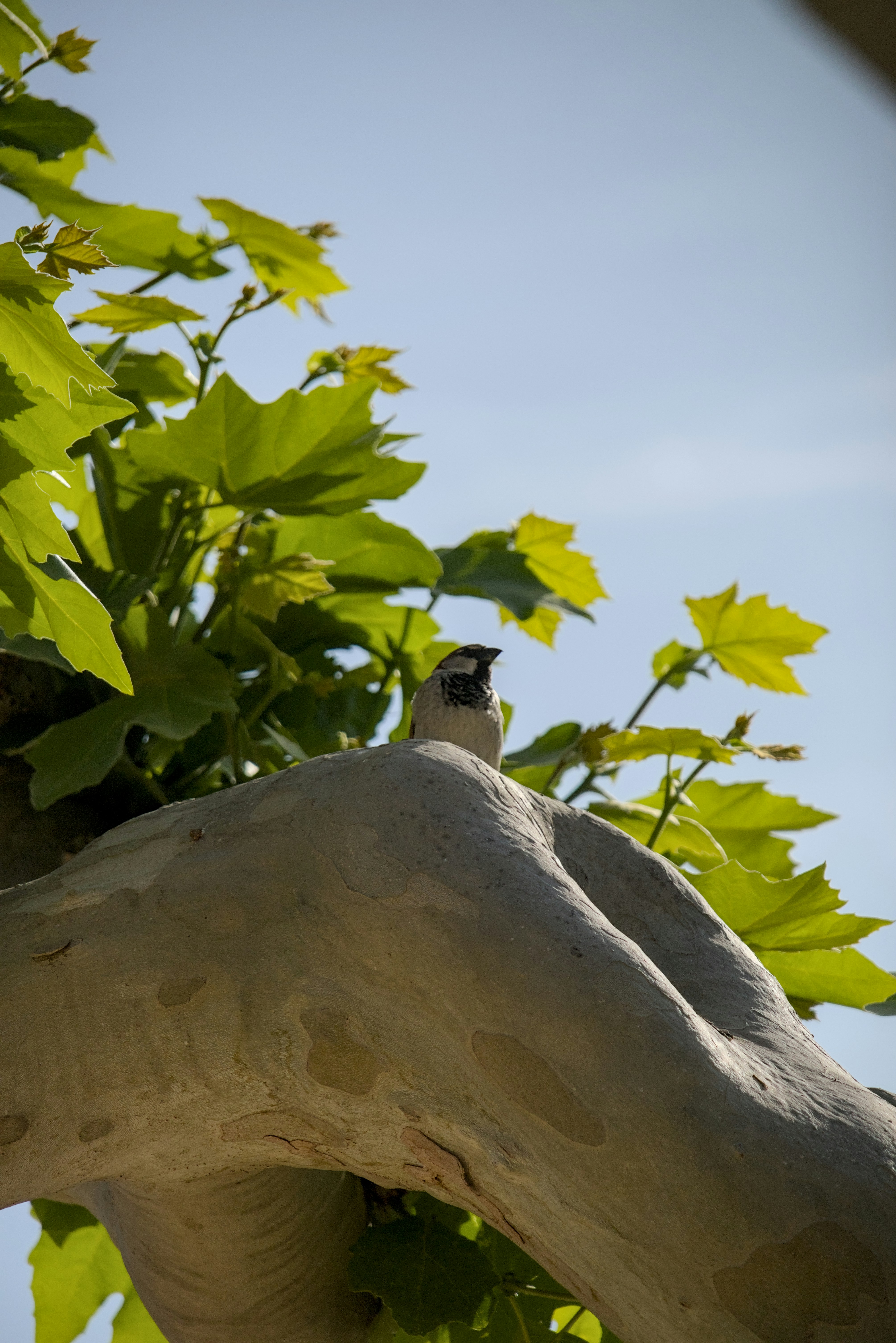 Photo by Arno Moller with Canon EOS M50