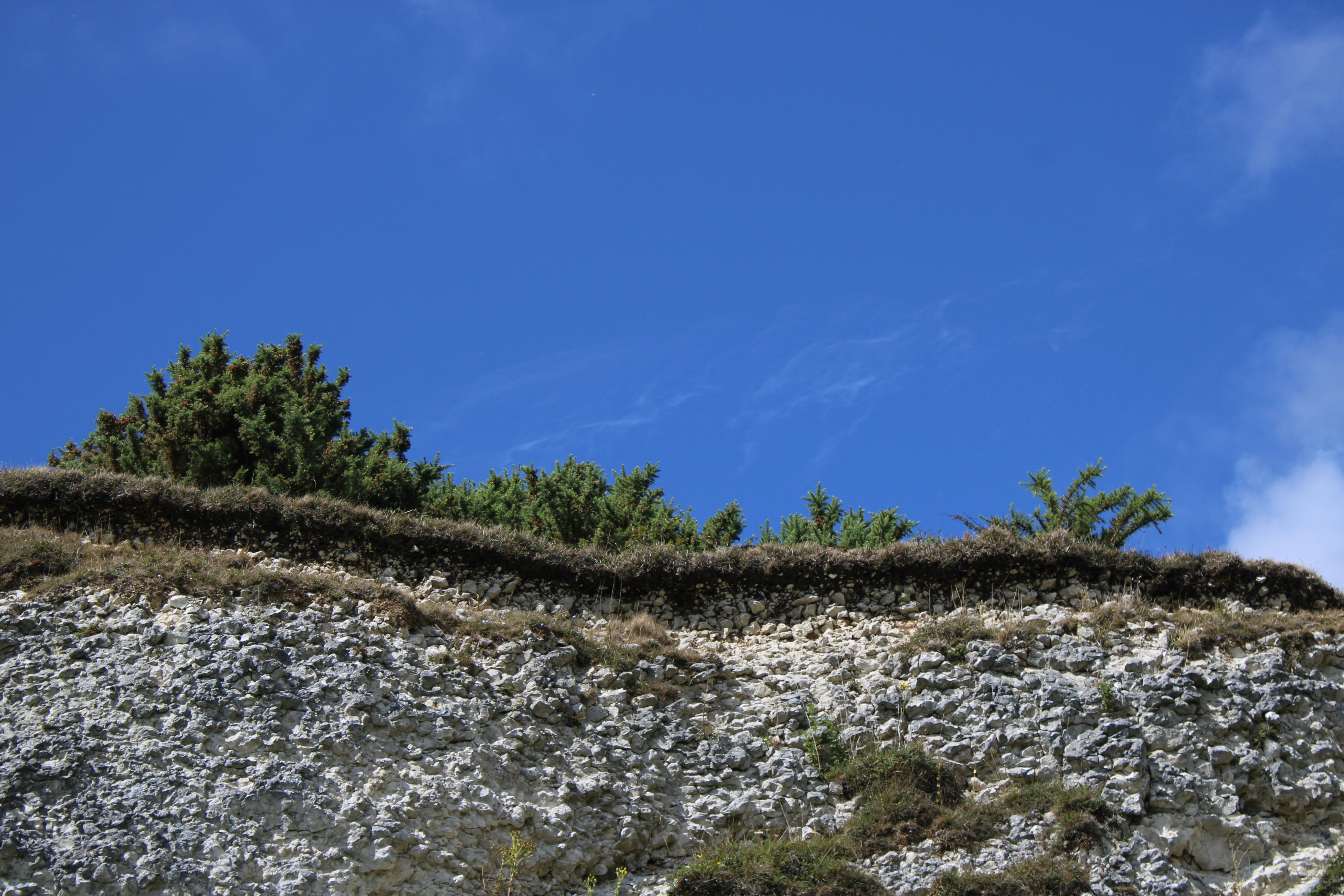 Edge of the Cliff: Olive Scrub and Blue Sky