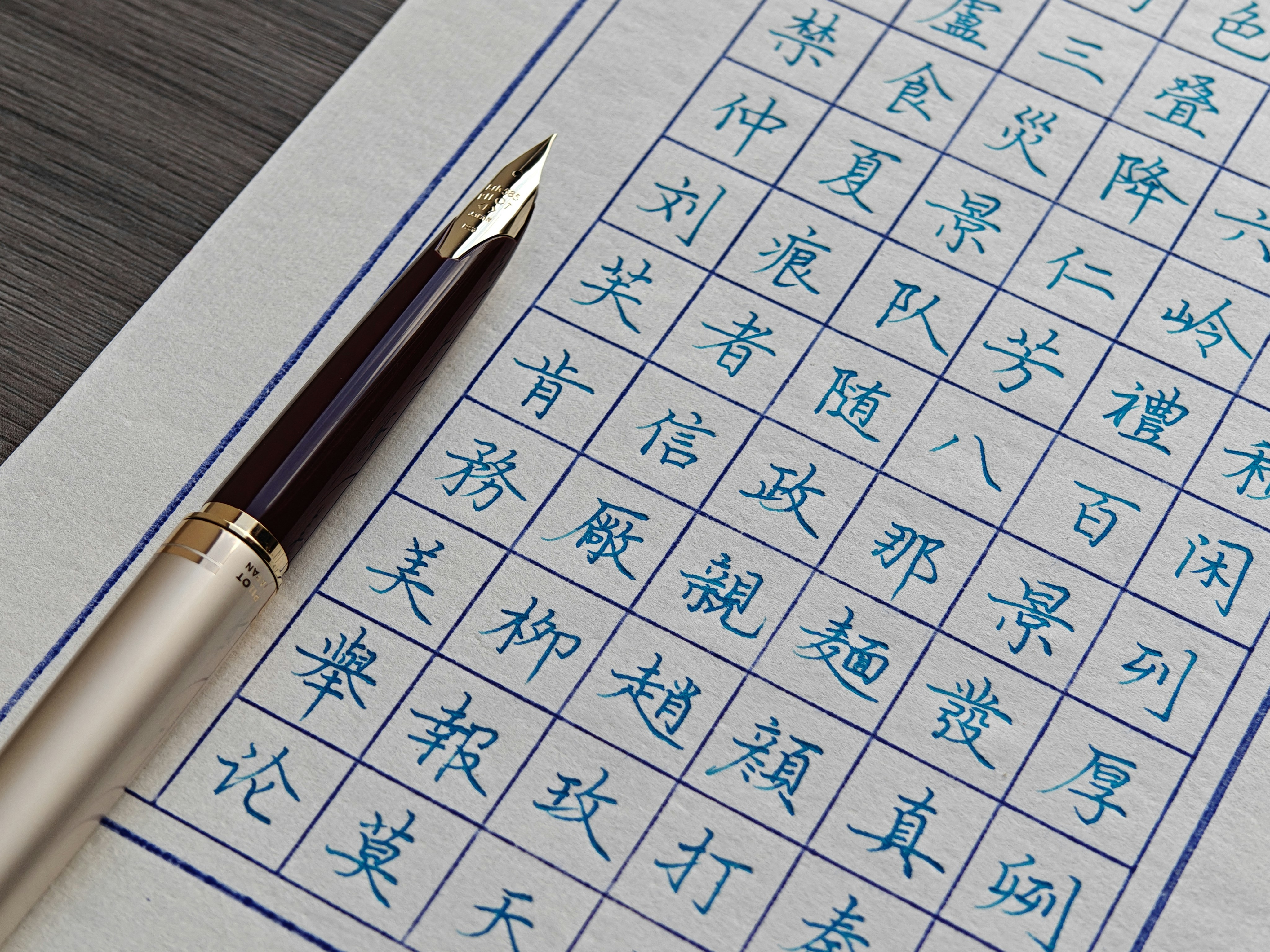 Ink and Precision: A Calligraphy Study of Blue Characters on White Grid