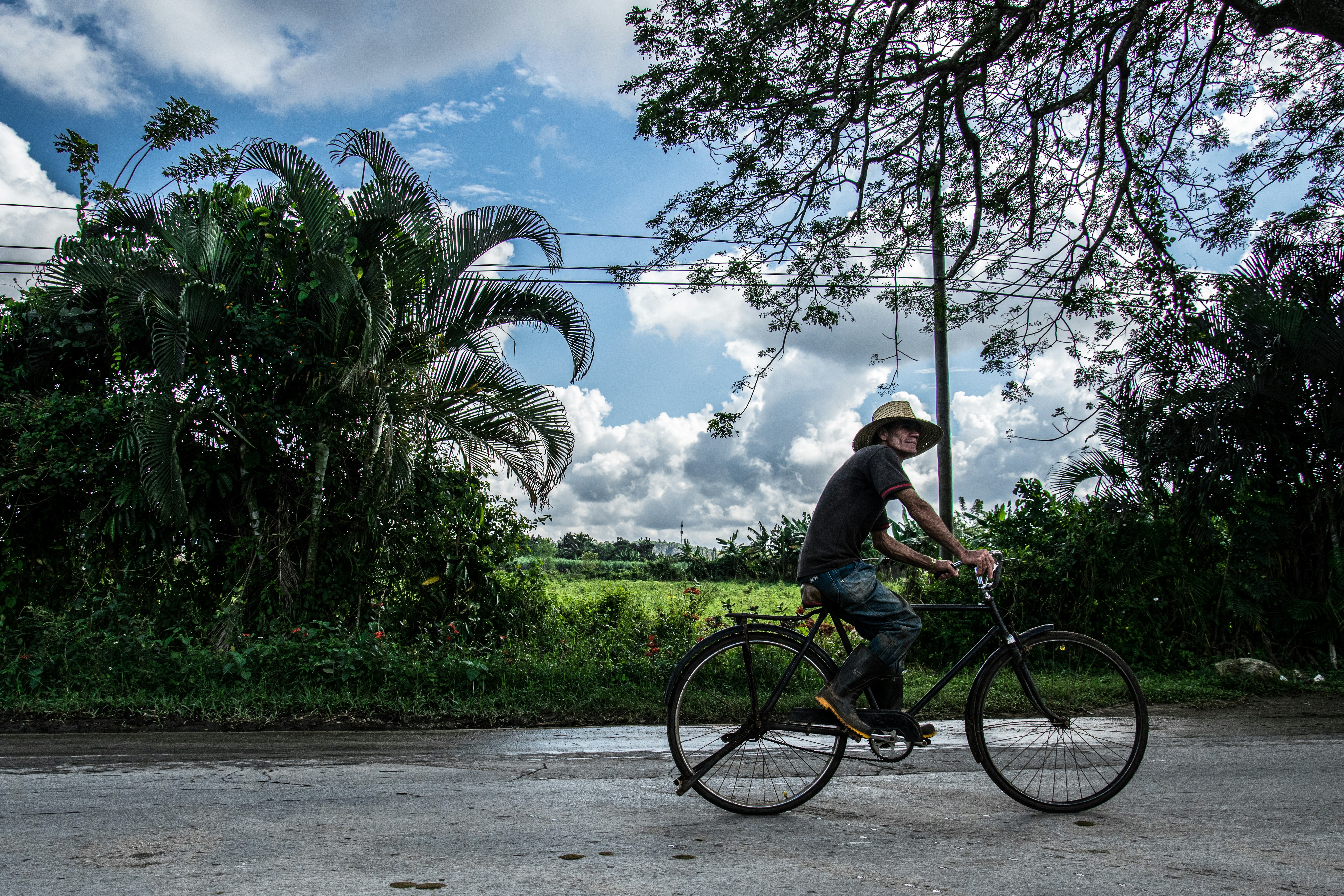 Cyclist in a Sunlit Rural Street