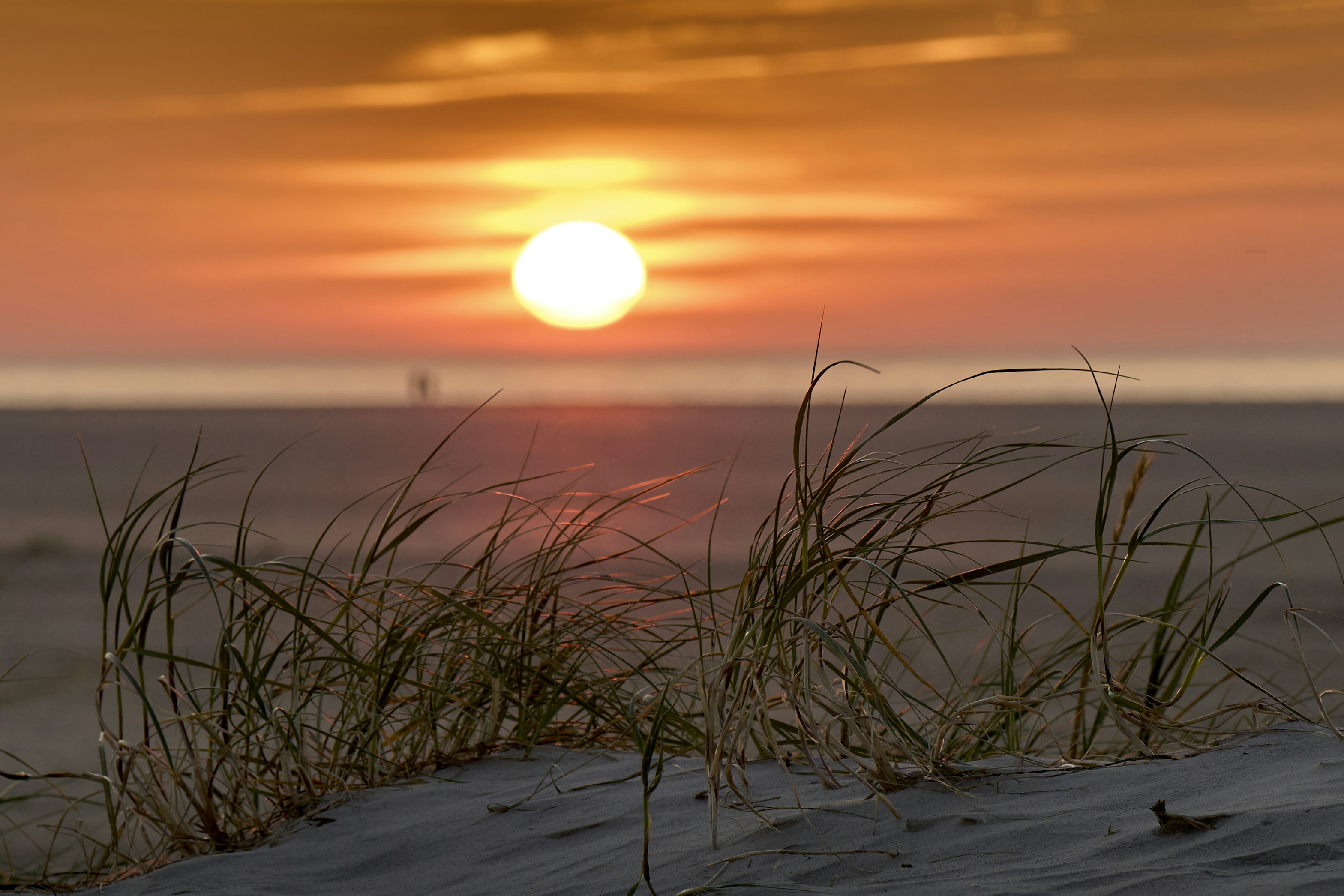Photo by André Düsel with Sony Alpha 1