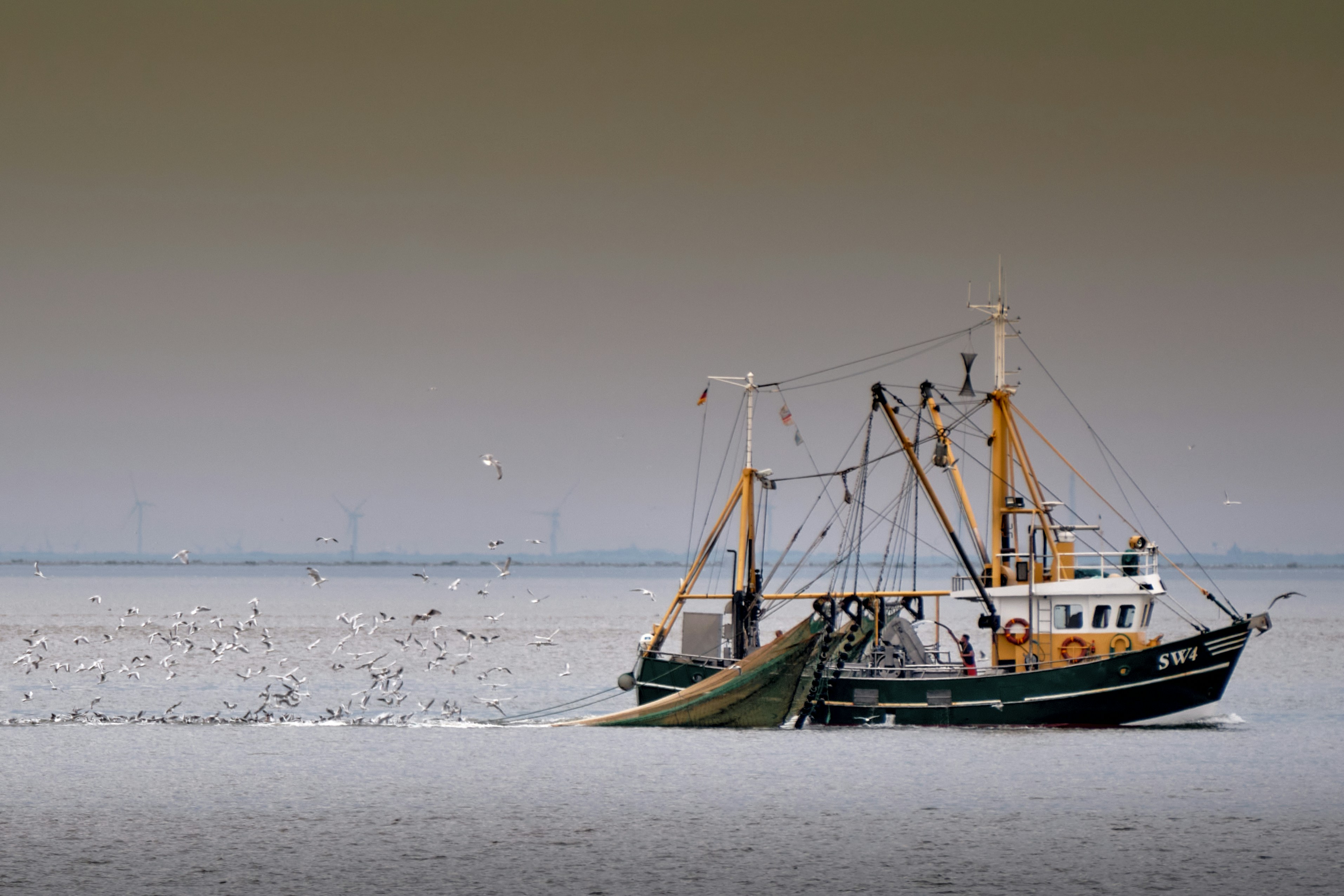A small fishing boat sails calmly on a broad body of water at dusk, with seabirds skimming nearby and a hazy horizon behind; the scene emphasizes quiet maritime life and distant activity.