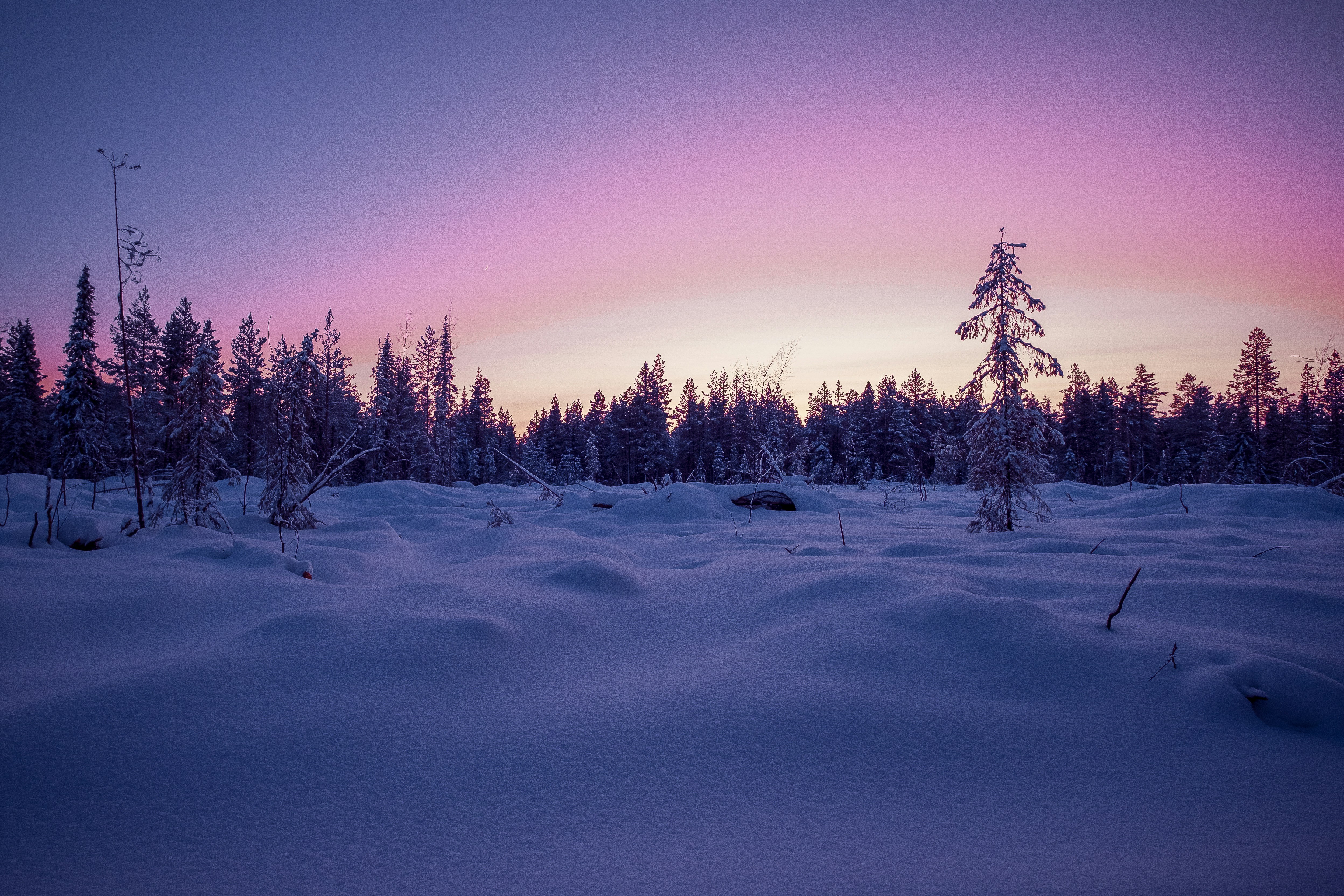 Lappland, Finnland | Februar 2023