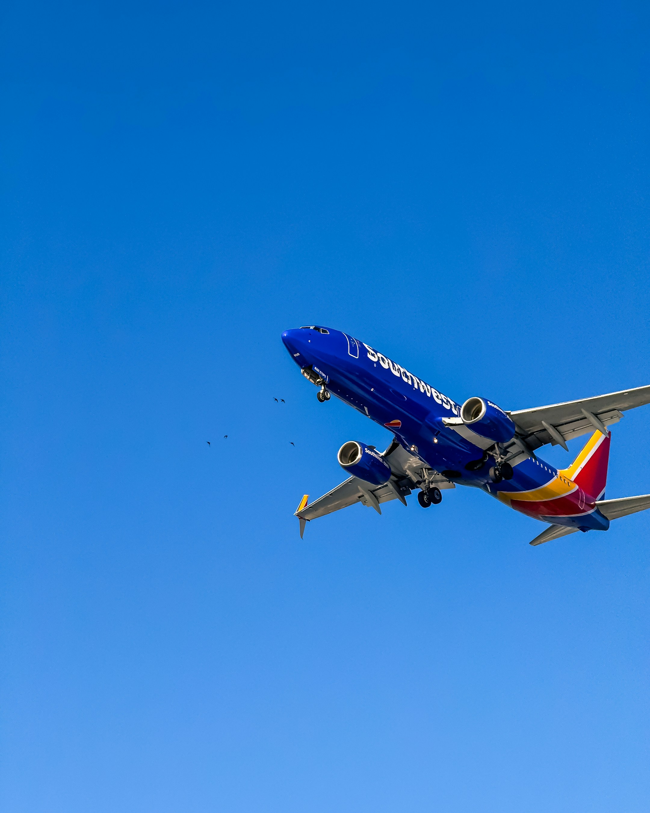 Blue Bird in Blue Sky: United Colors of a Post-Flight Ascent
