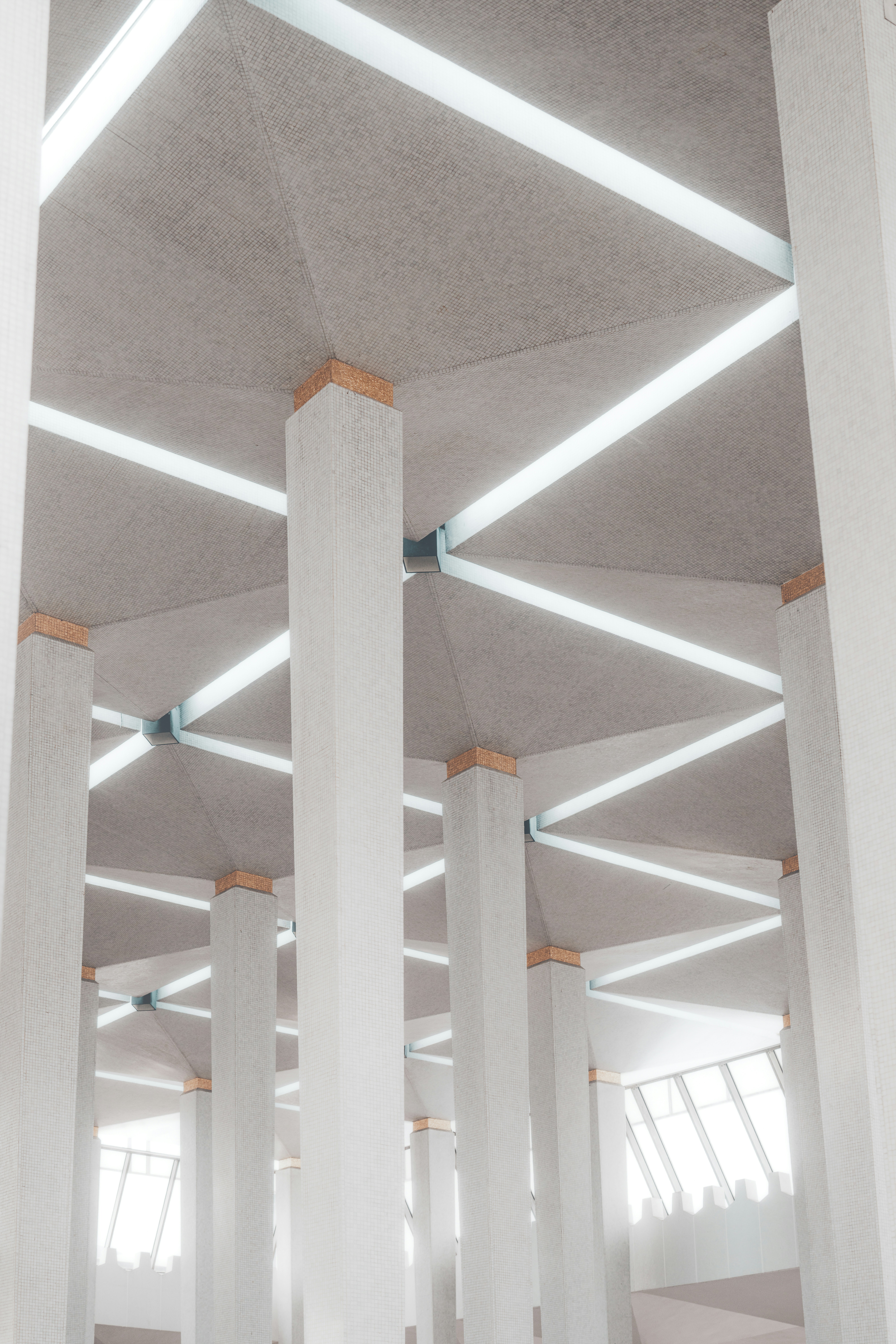 A Forest of Light: Geometric Columns under Neon Veins
