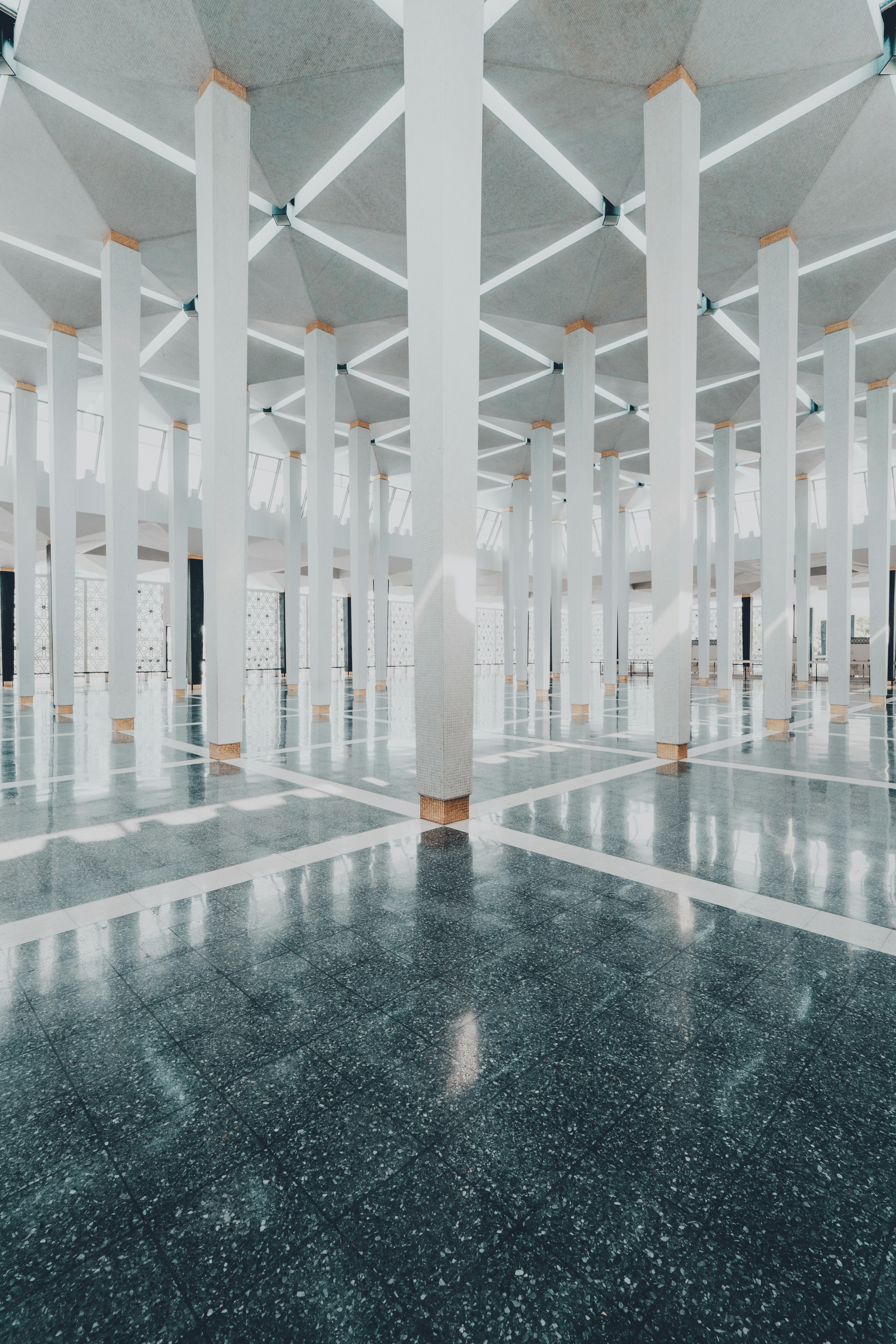 Symmetrical Columns: Echoes of Light in a Marble Atrium