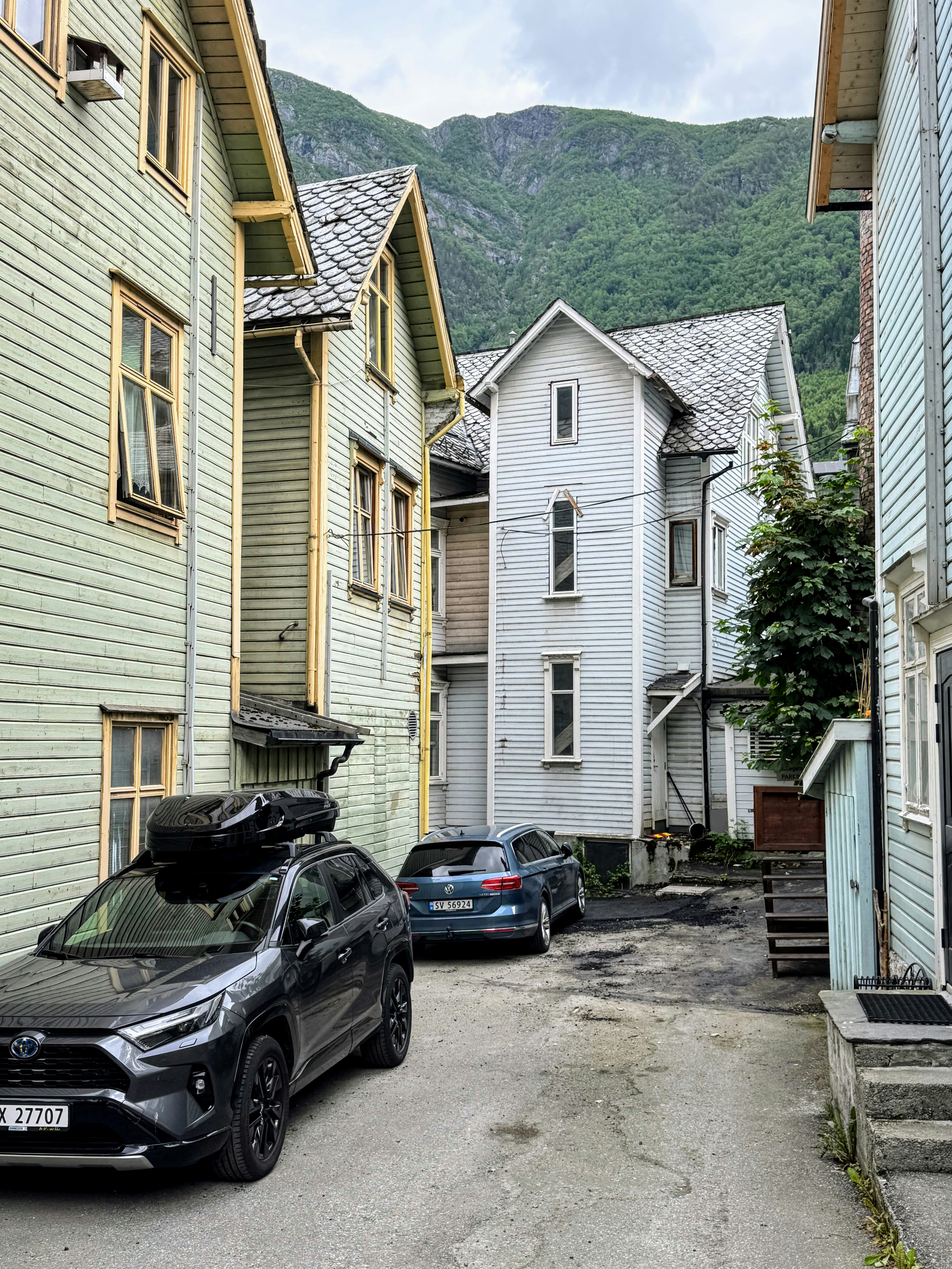 Alley of Painted Pines: Cars, Victorian Facades, and Mountain Backdrop
