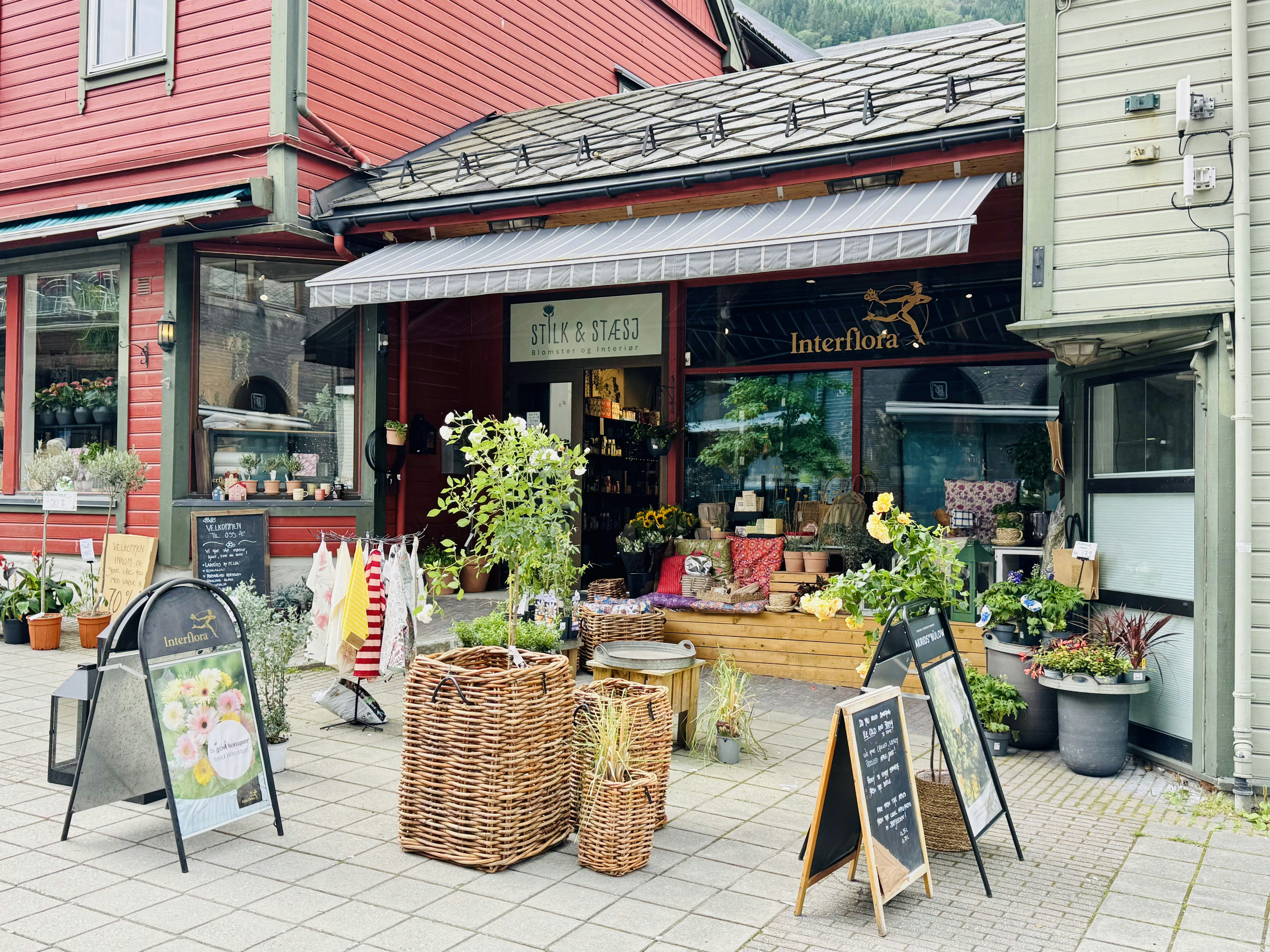 Floral Facade: A Cozy Street Boutique Worth Exploring