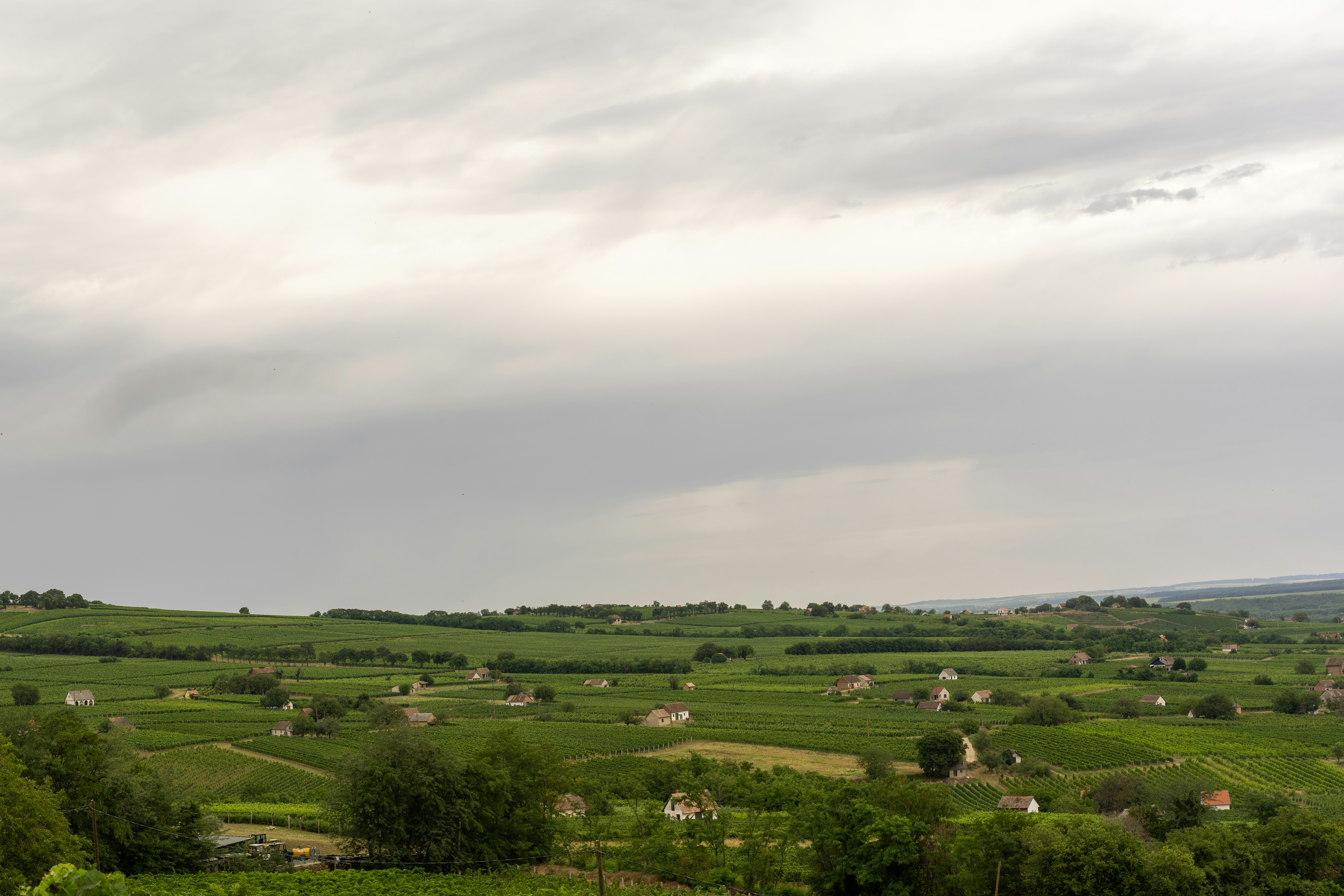 A Quiet Horizon Over Cerulean Farmlands
