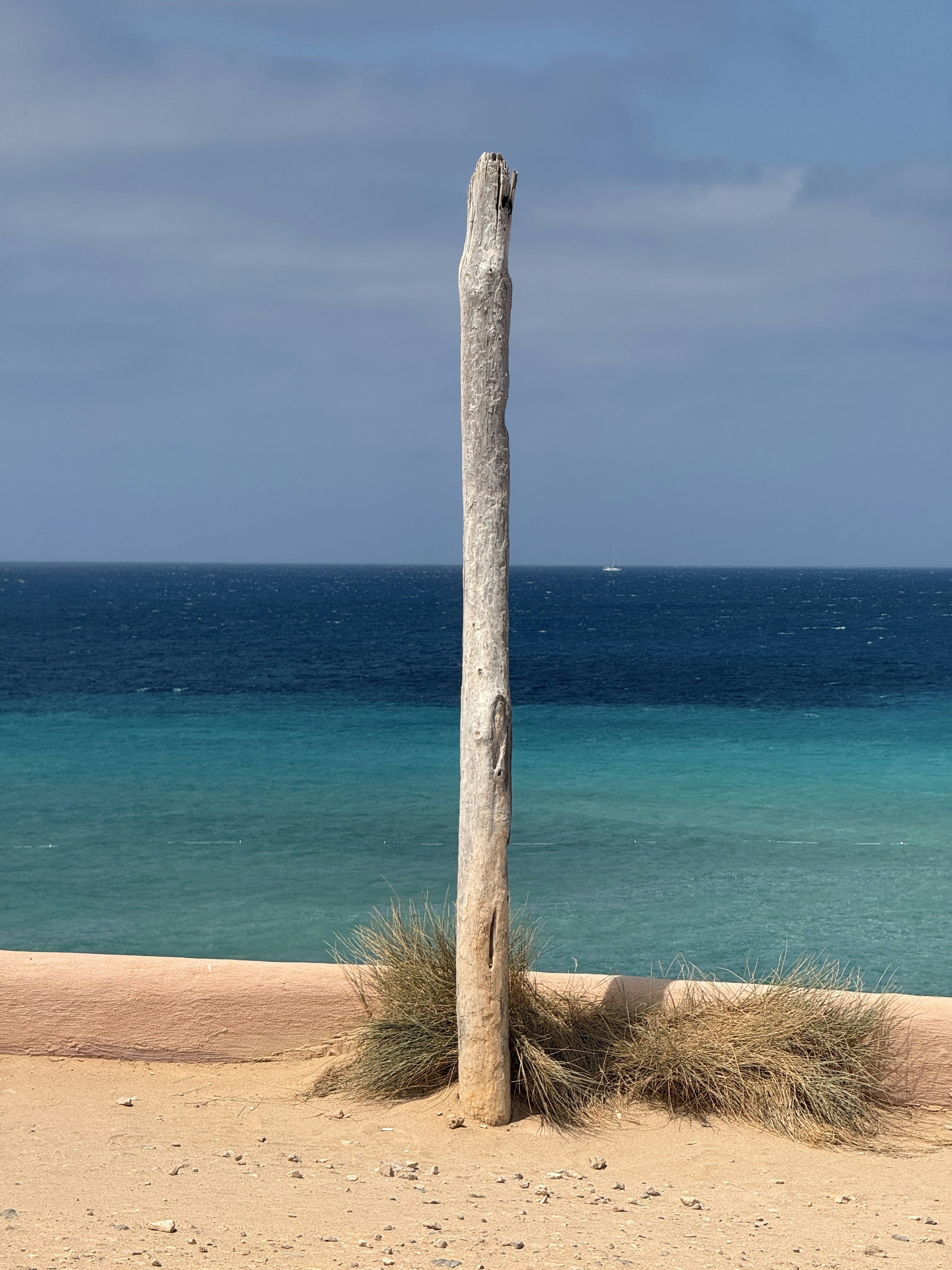 Driftwood Sentinel: A Lone Vertical Post Guarding Turquoise Horizons