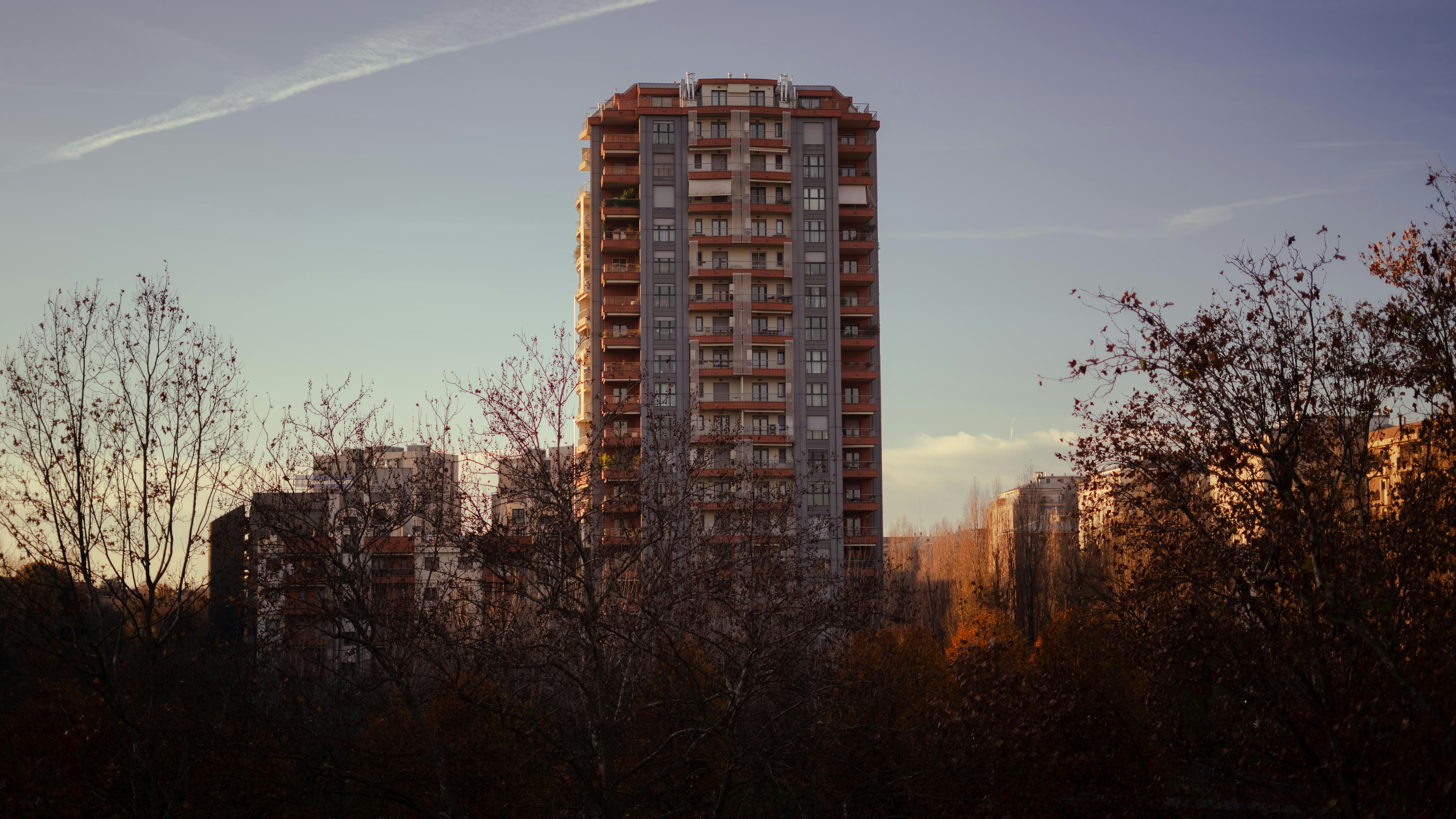 Sunlit Tower Emerges Through Autumn Veil