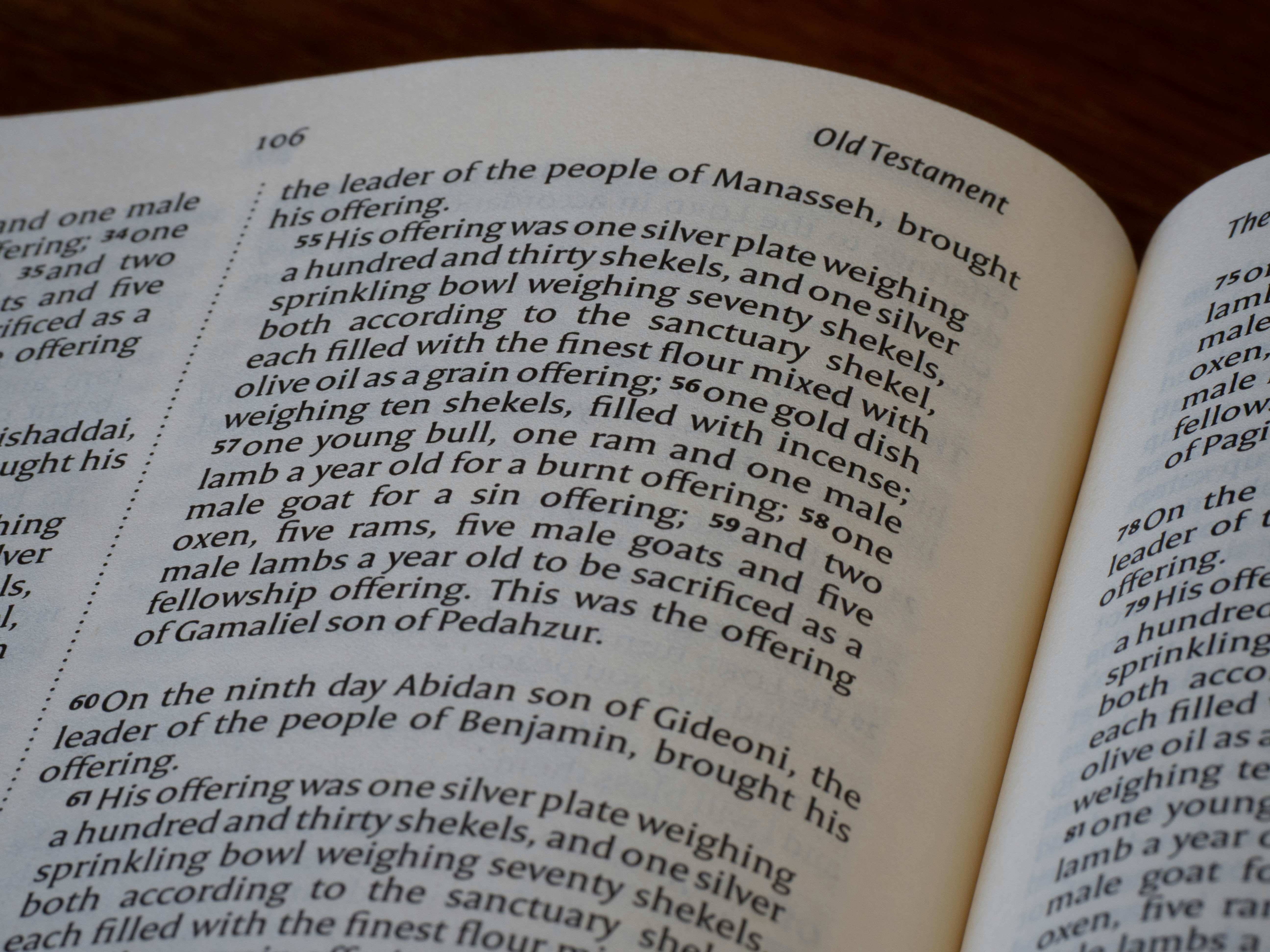Open Pages, Hidden Story: An Intimate Glimpse into a Classical Text