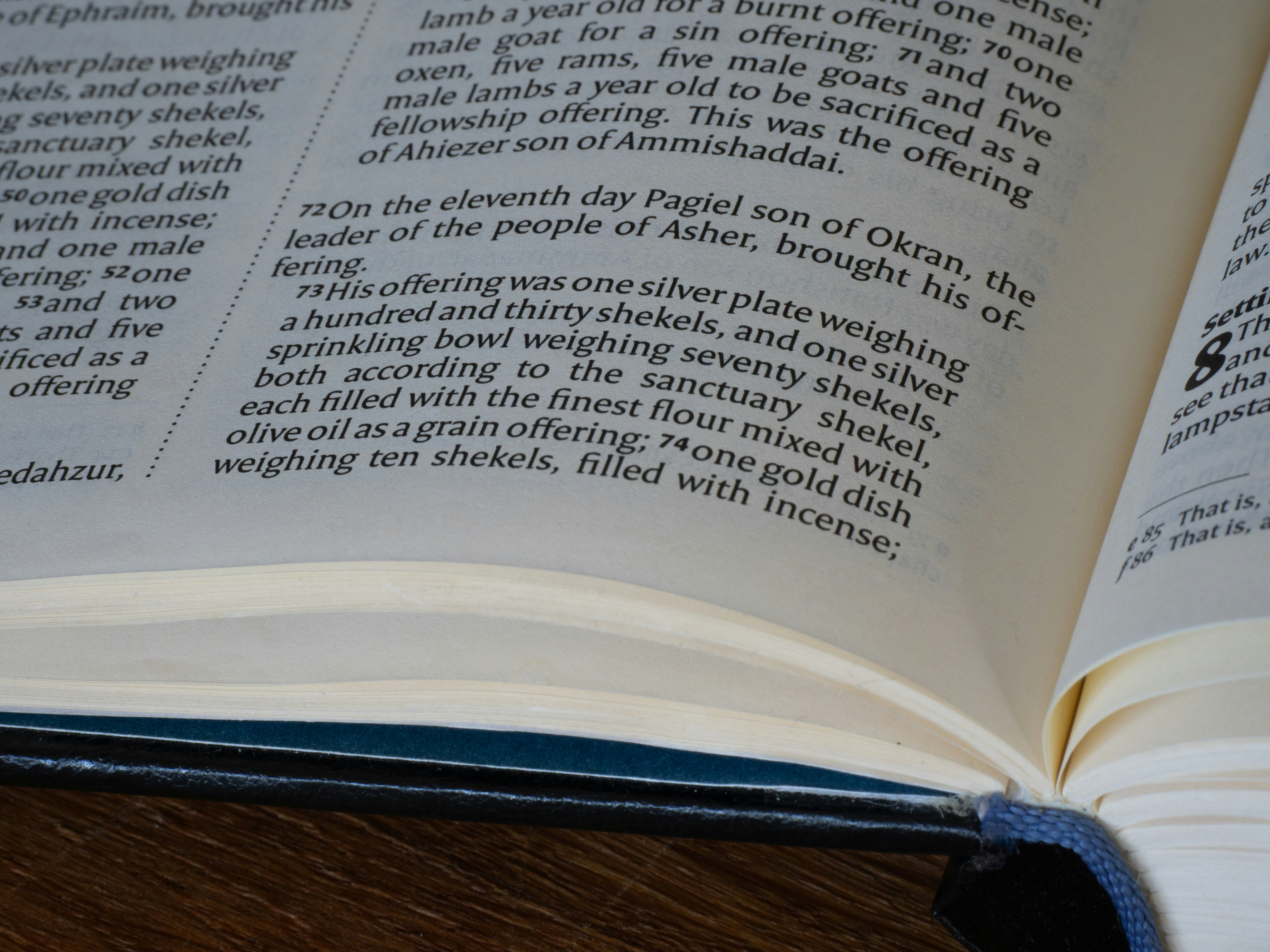 Curled Pages, Quiet Focus: A Close-Up of a Library Pocket