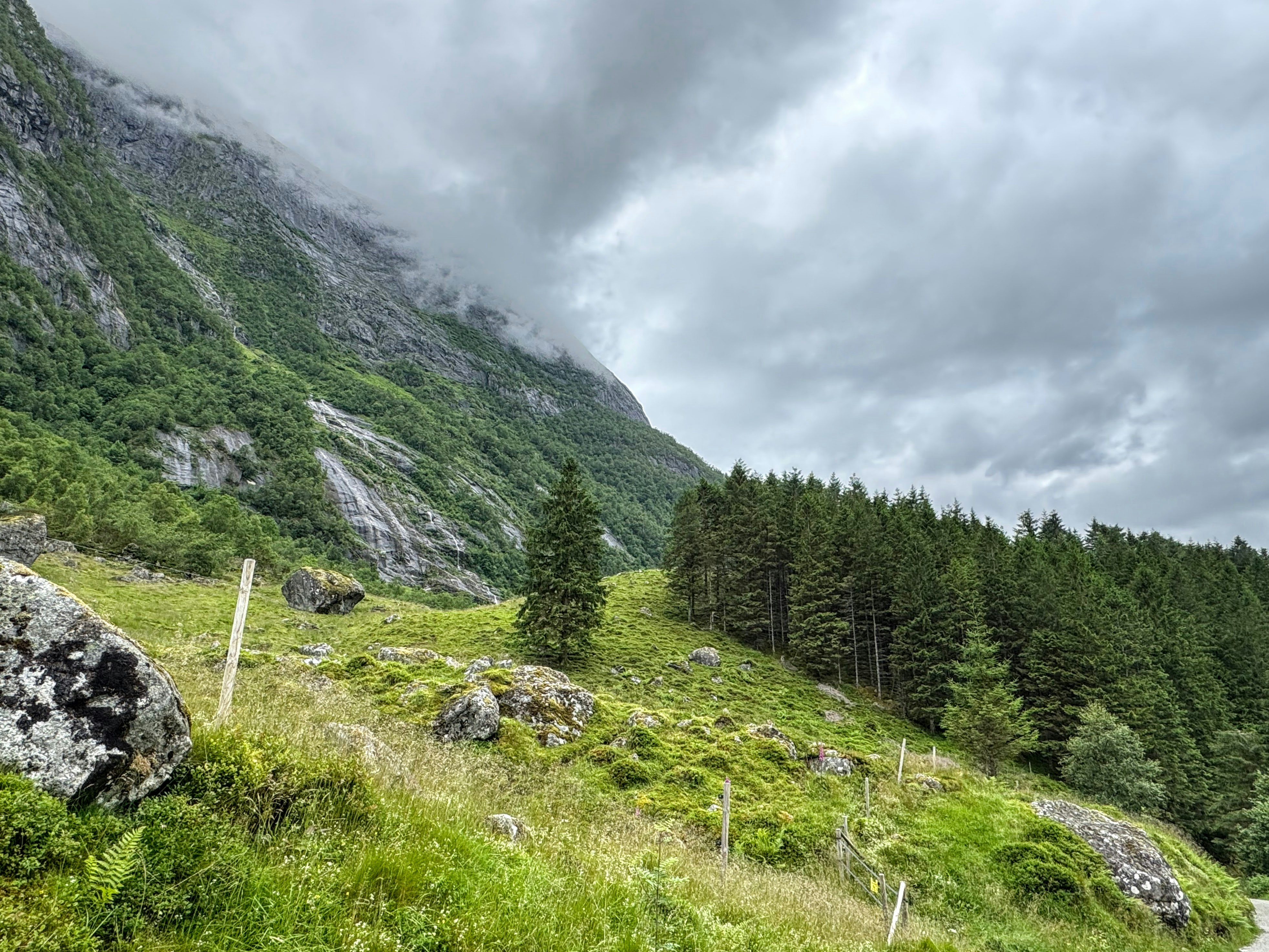 Mist over the Alpine Meadow: A Quiet Valley Cloaked in Clouds