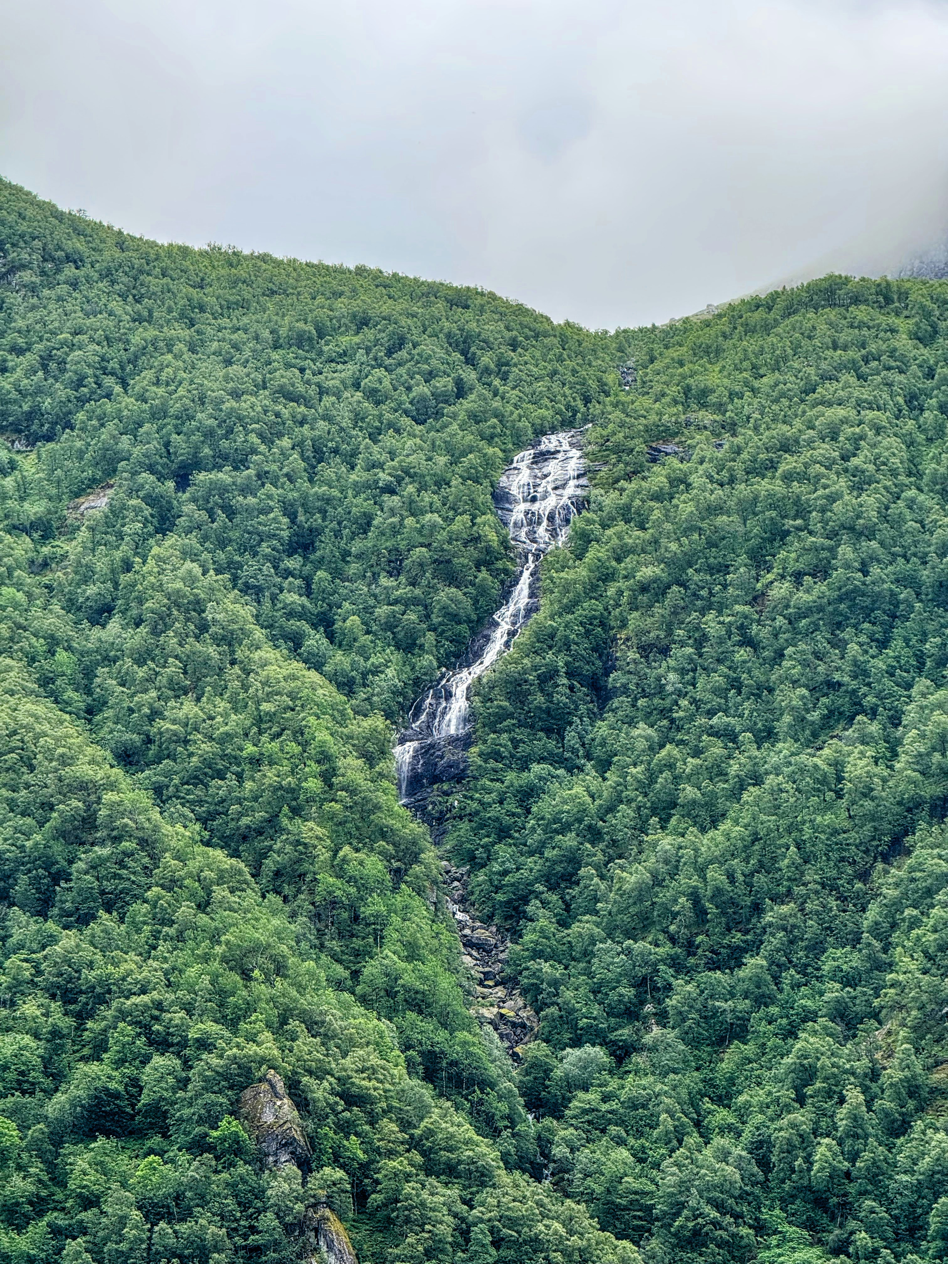 Timber Veil: A Narrow Cascade Through Verdant Green Gorges
