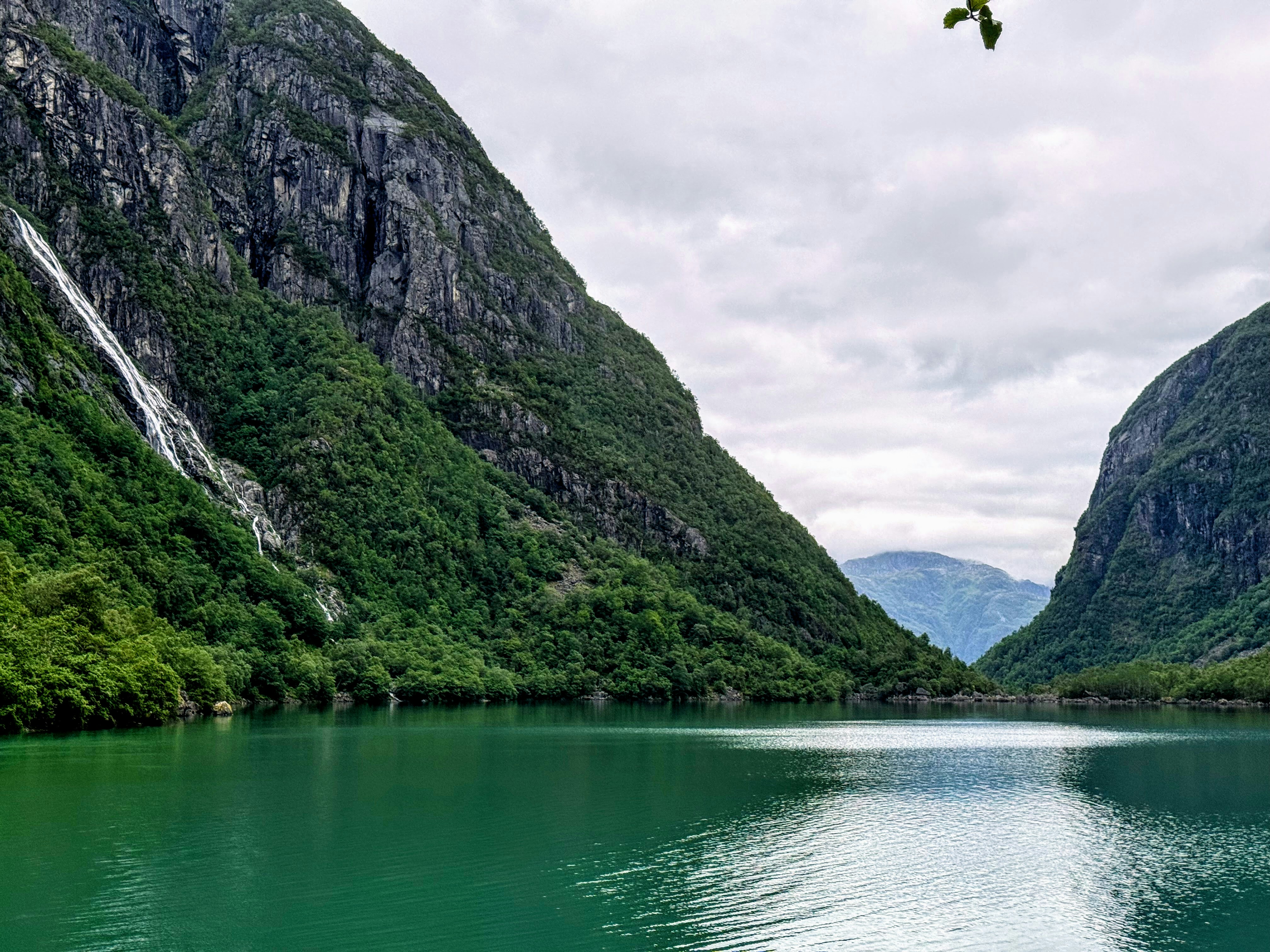 Emerald Fjord Between Verdant Cliffs