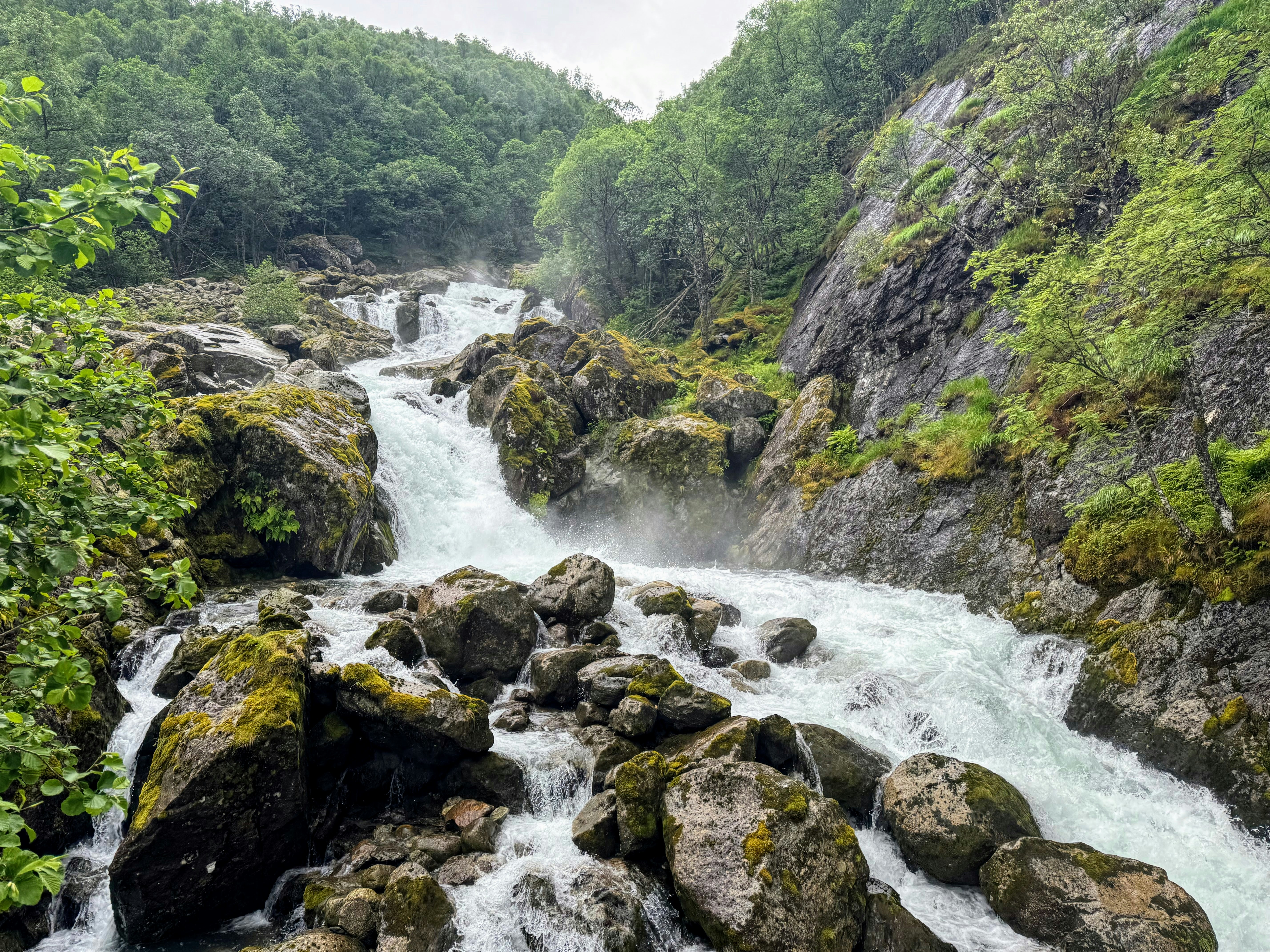 Mossy Cascade Gorge: A Mountain River Carved Through Granite
