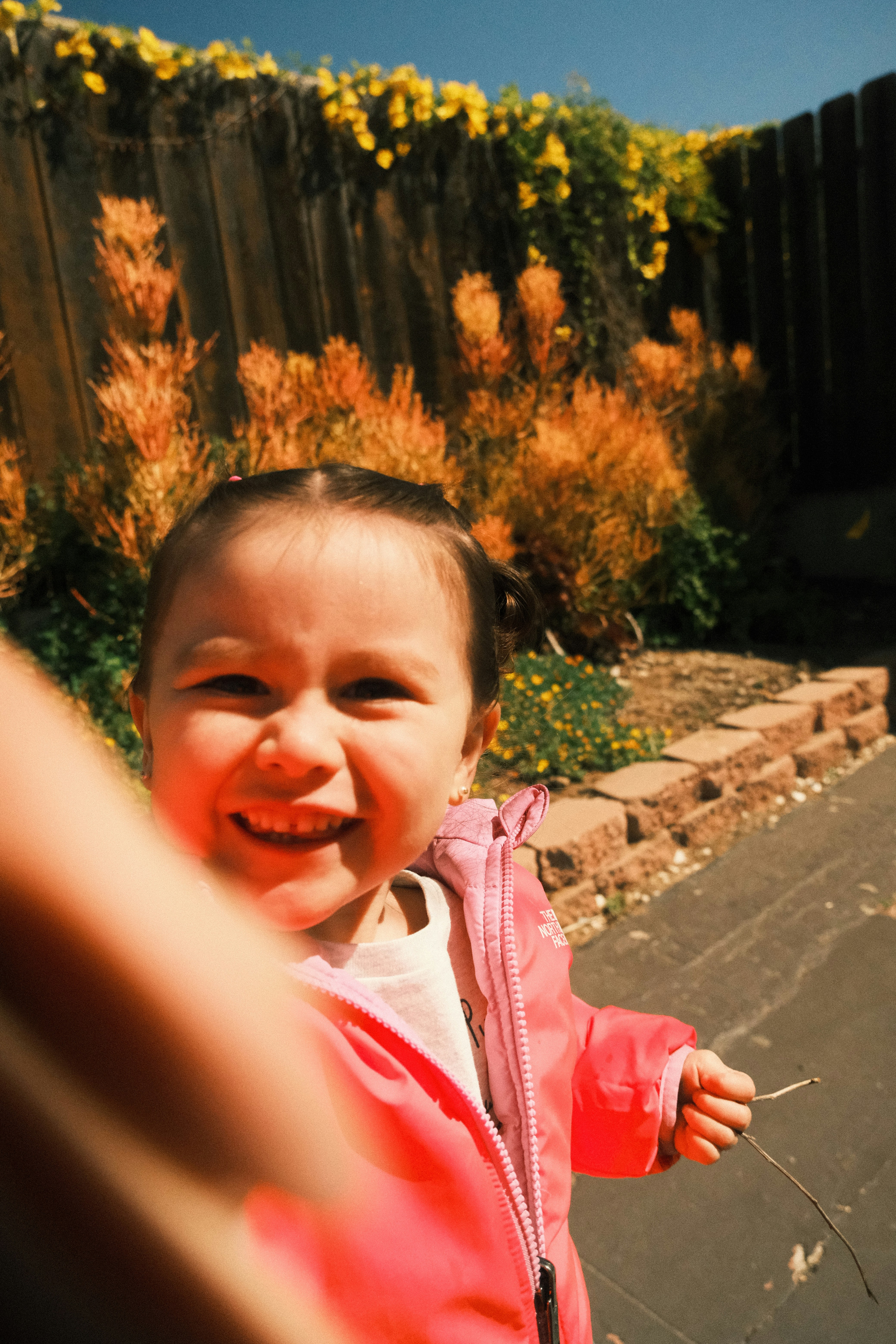 Sunny Smile in a Garden: A Young Explorer Reaches Forward
