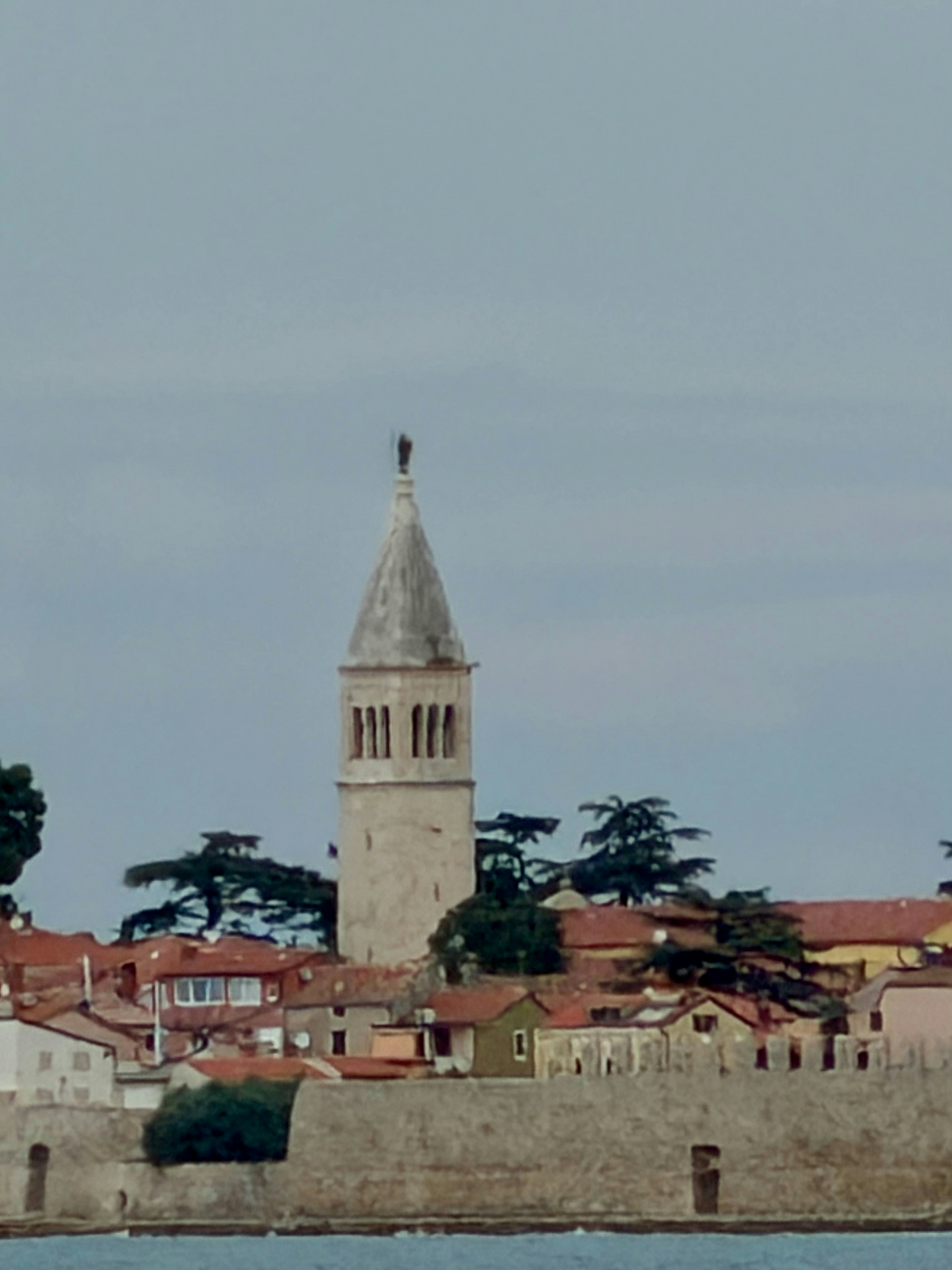 A coastal town skyline features a tall, pale stone bell tower crowned with a spire, rising above reddish rooftops and a stone seawall, with trees in the background.