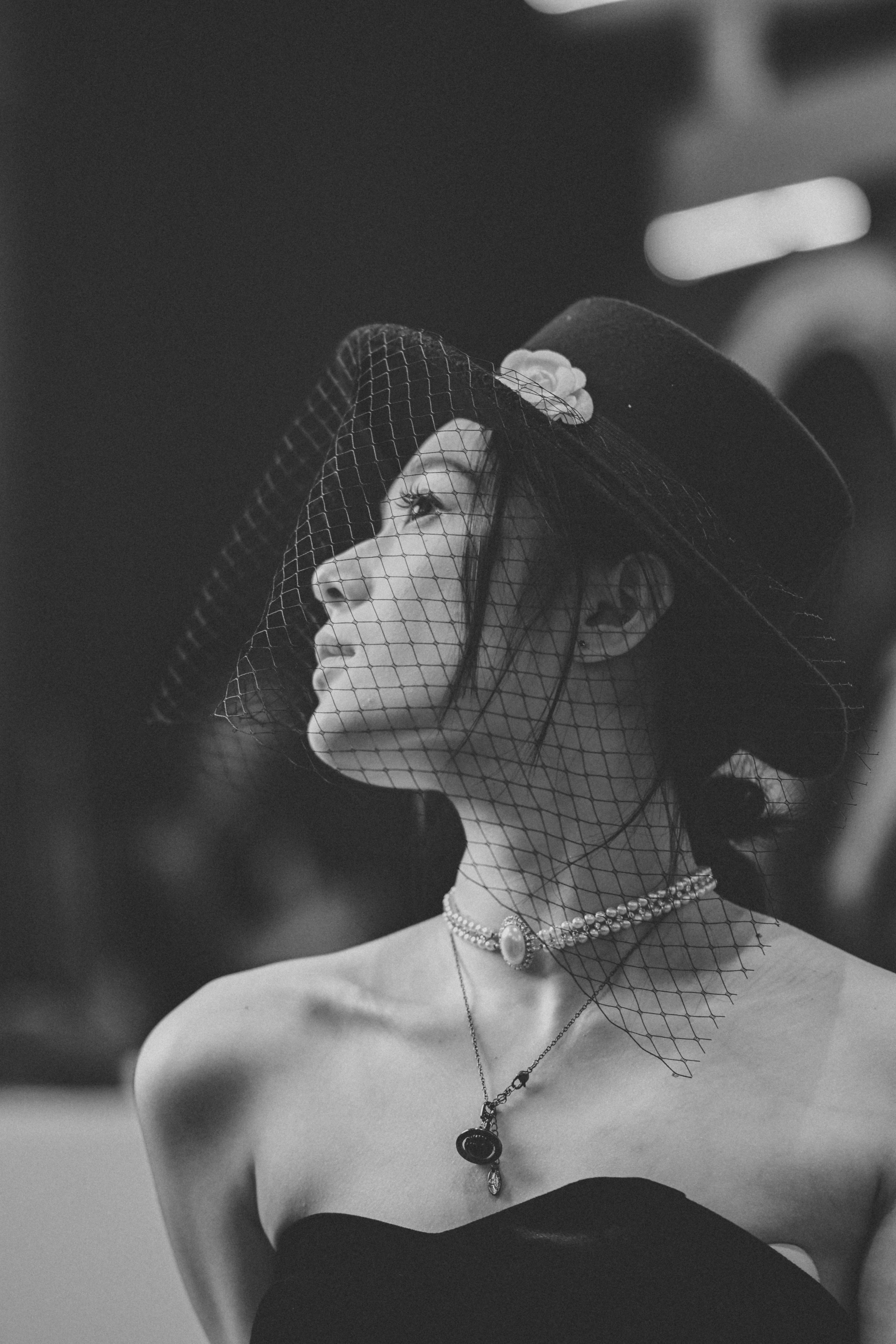 Veiled Grace: Portrait in Velvet Netting