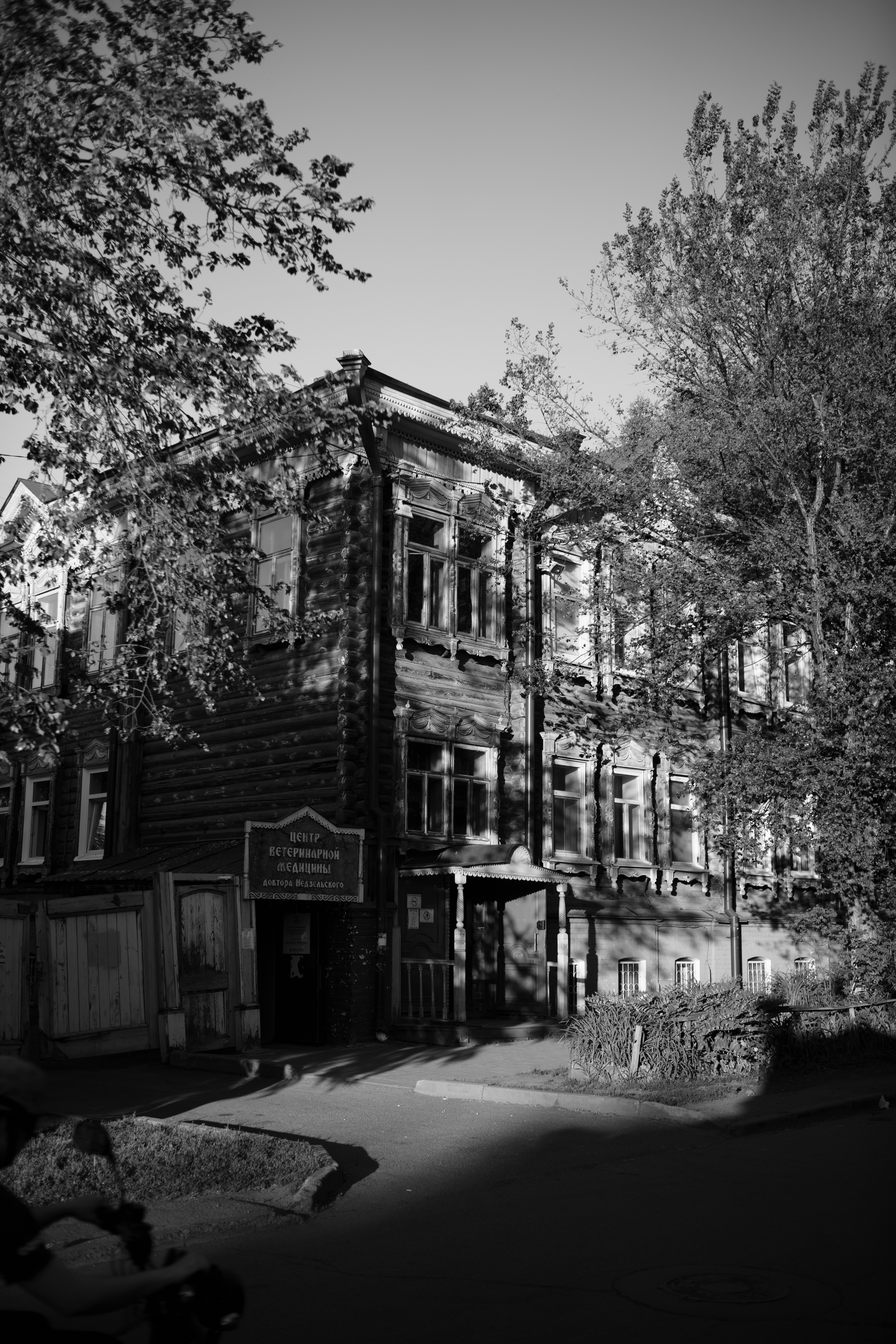 The Weathered Corner: A Wooden House Framed by Tall Trees