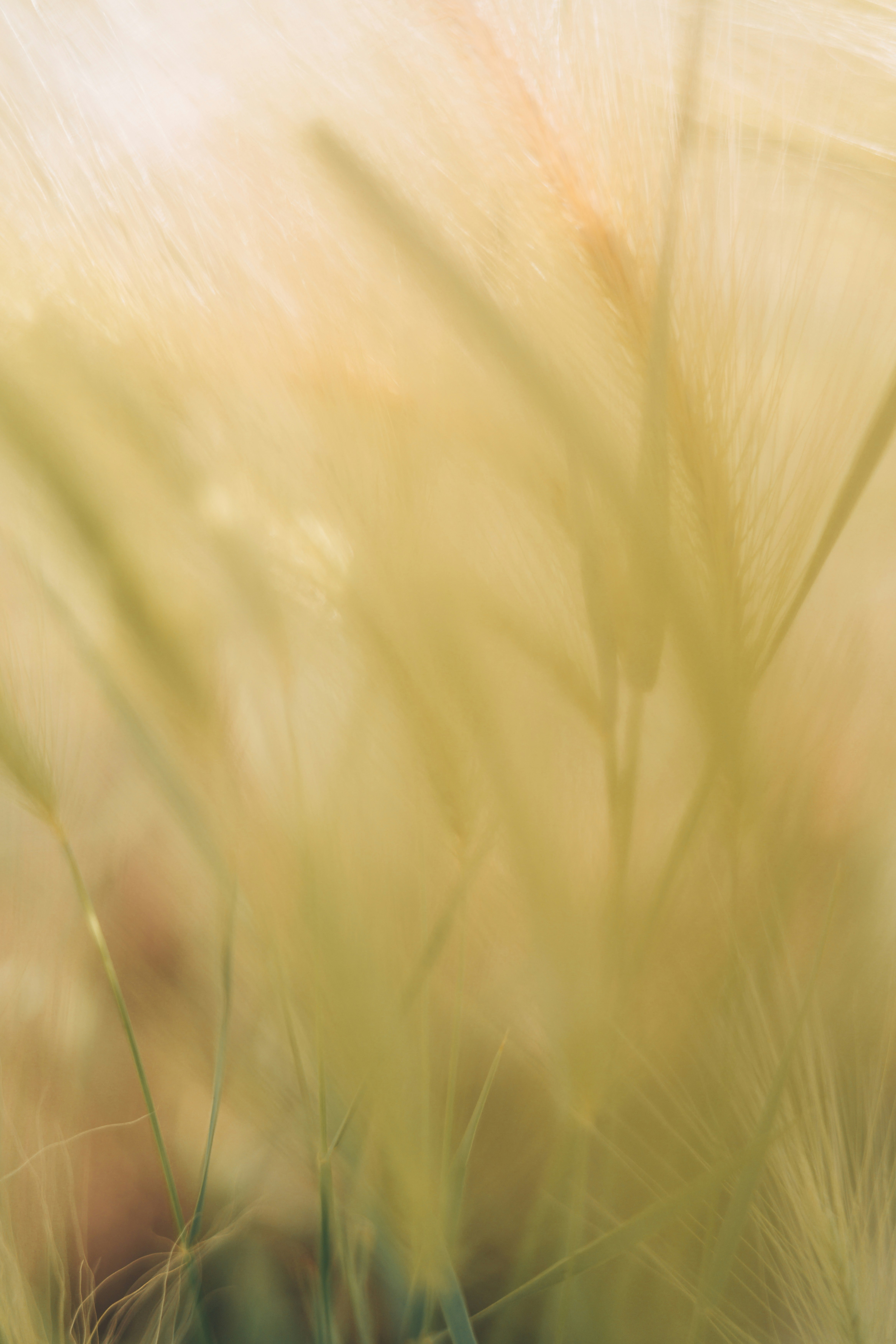 Photo by Andrey K with Sony Alpha 7 IV