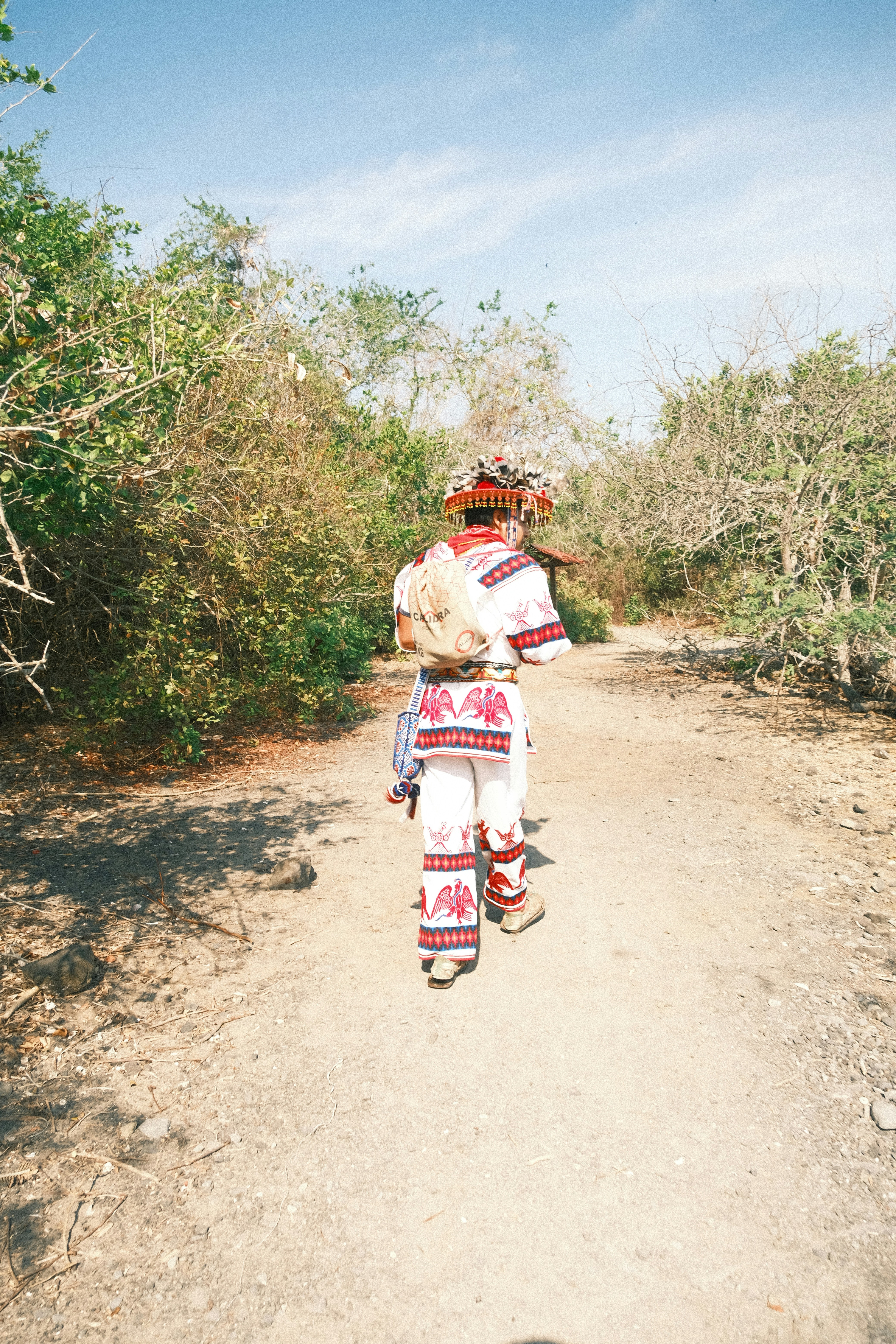 Traveler in White and Red: A Path Through Dry Woodland