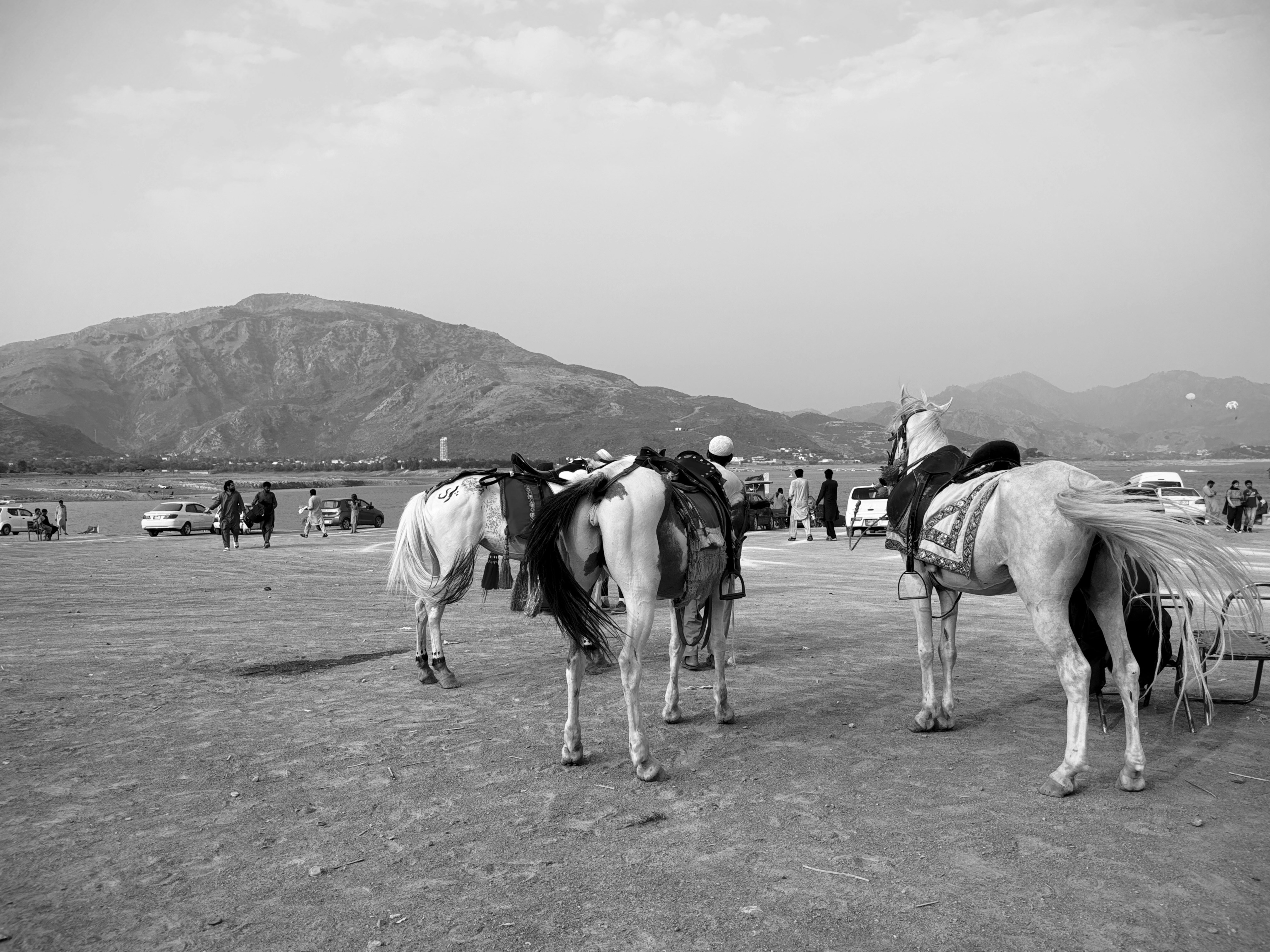 Horsemen at the Beach: Quiet Lines Against a Mountain Backdrop