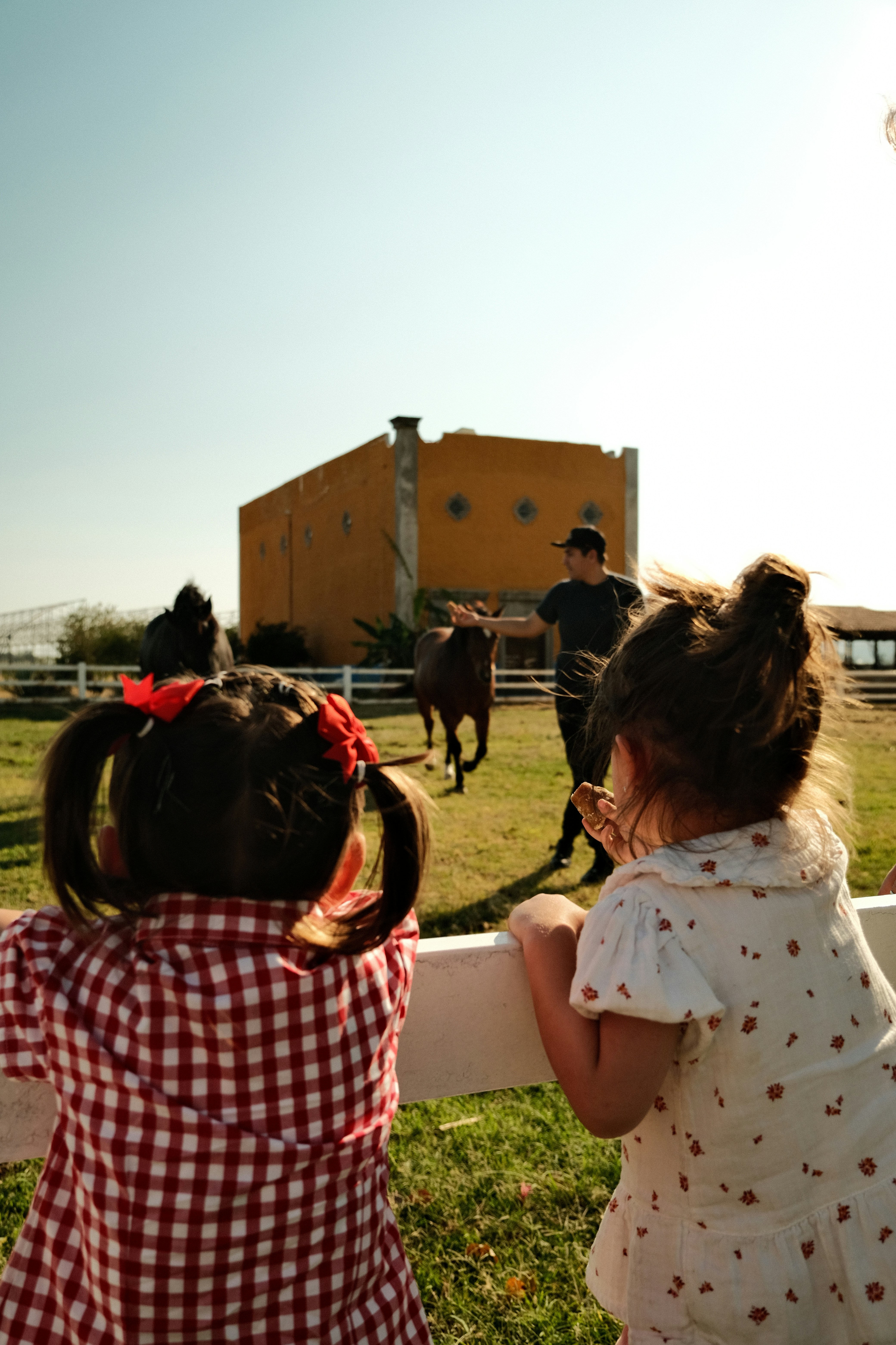 Two Curious Small Viewers Observe a Lively Horse Lesson