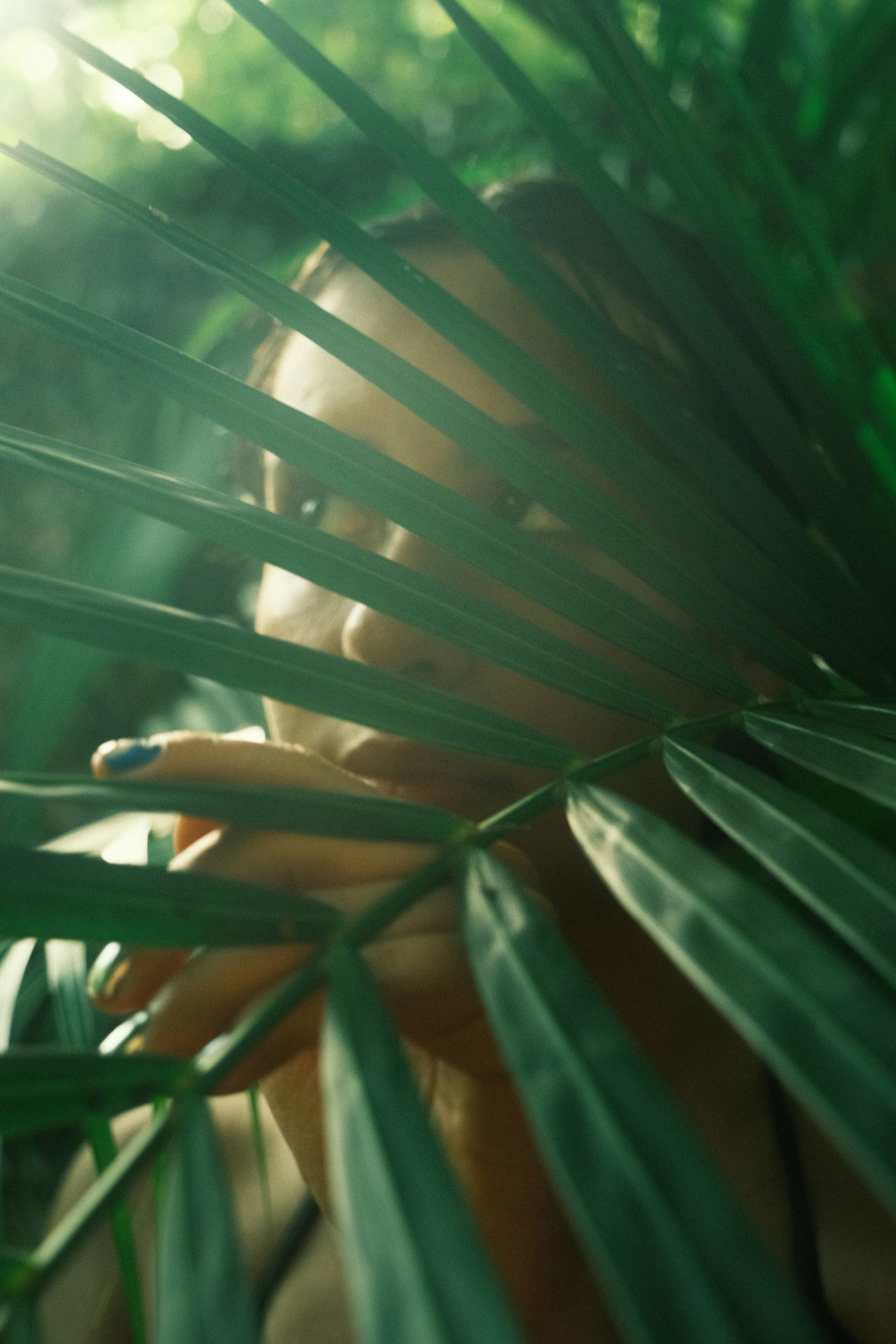 Through the Green Veil: A Hidden Gaze Behind Leaves