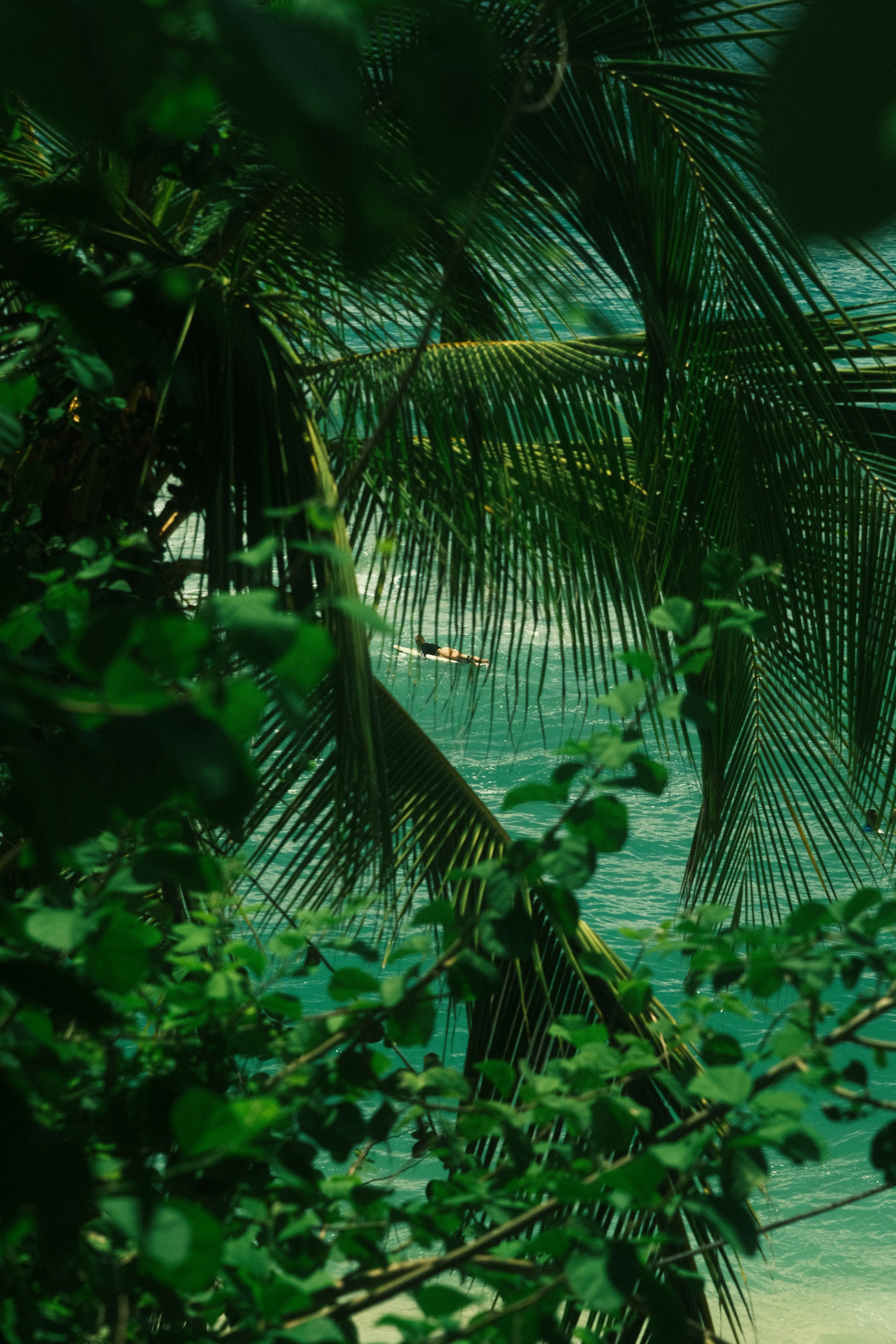 Hidden Sail Over Green Waves