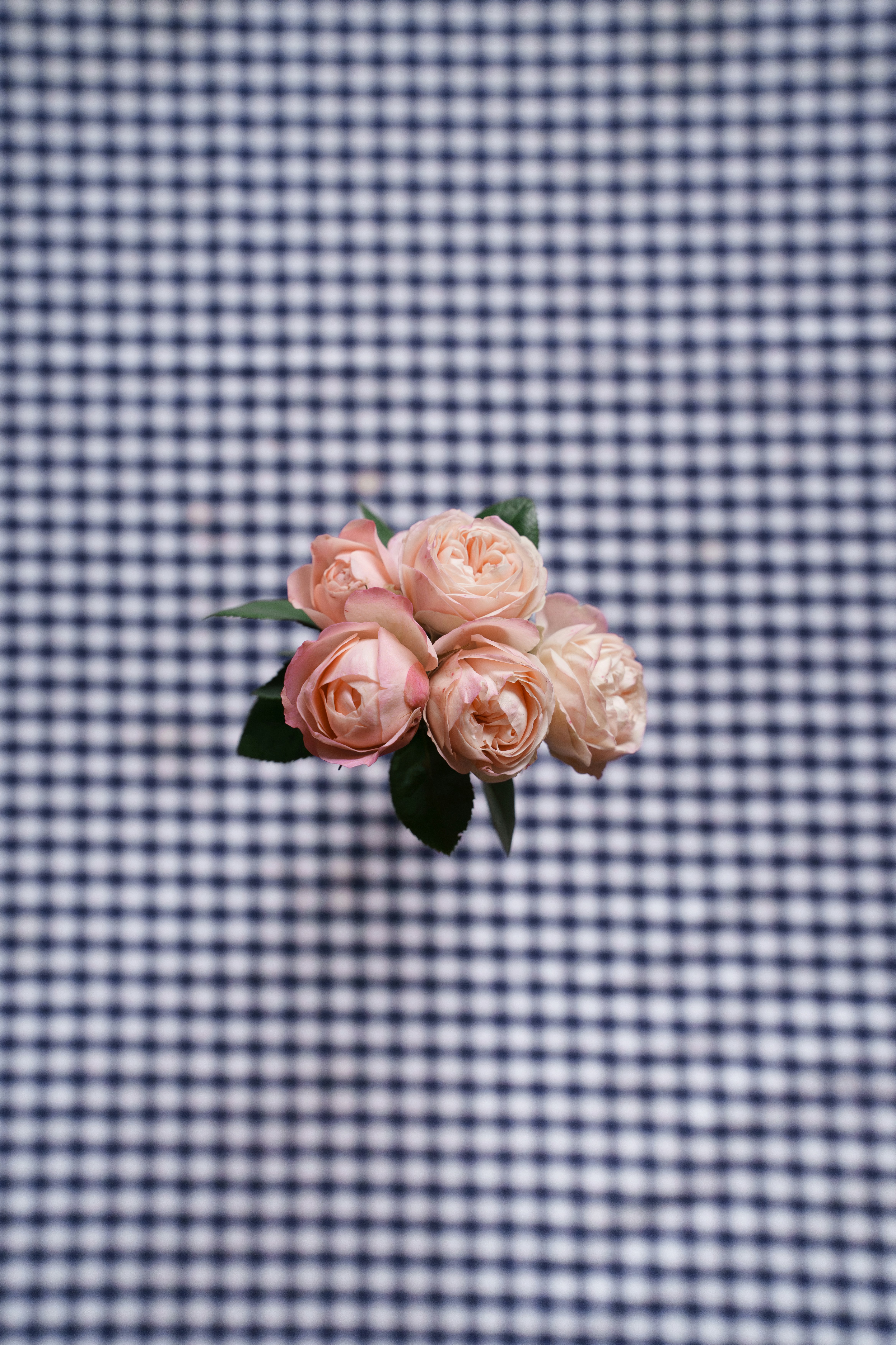 Pink Roses in Vase on Table with Checkered Tablecloth, Romantic Interior and Floral Decoration Concept